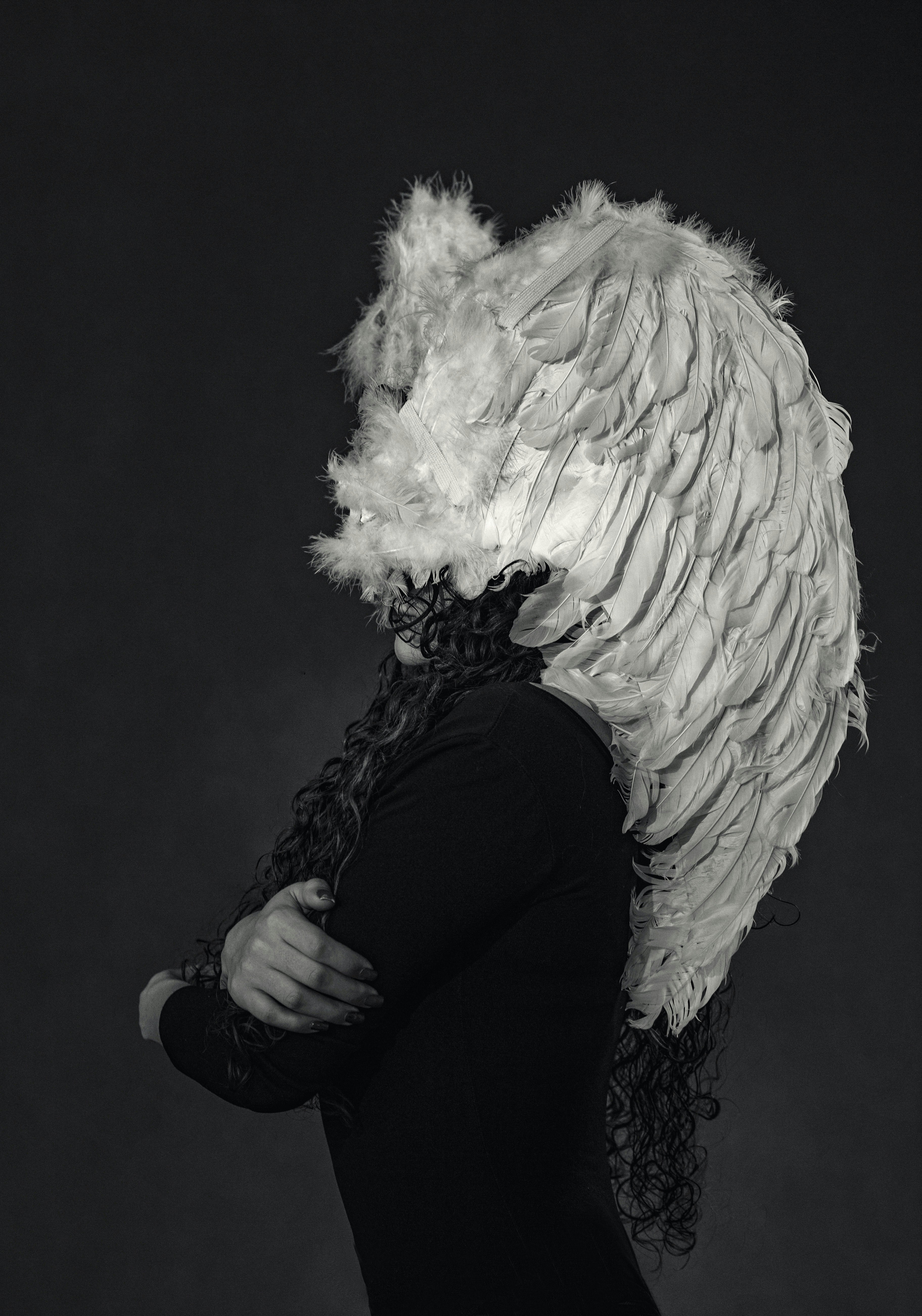 Winged Silence: A Portrait in Monochrome Velvet
