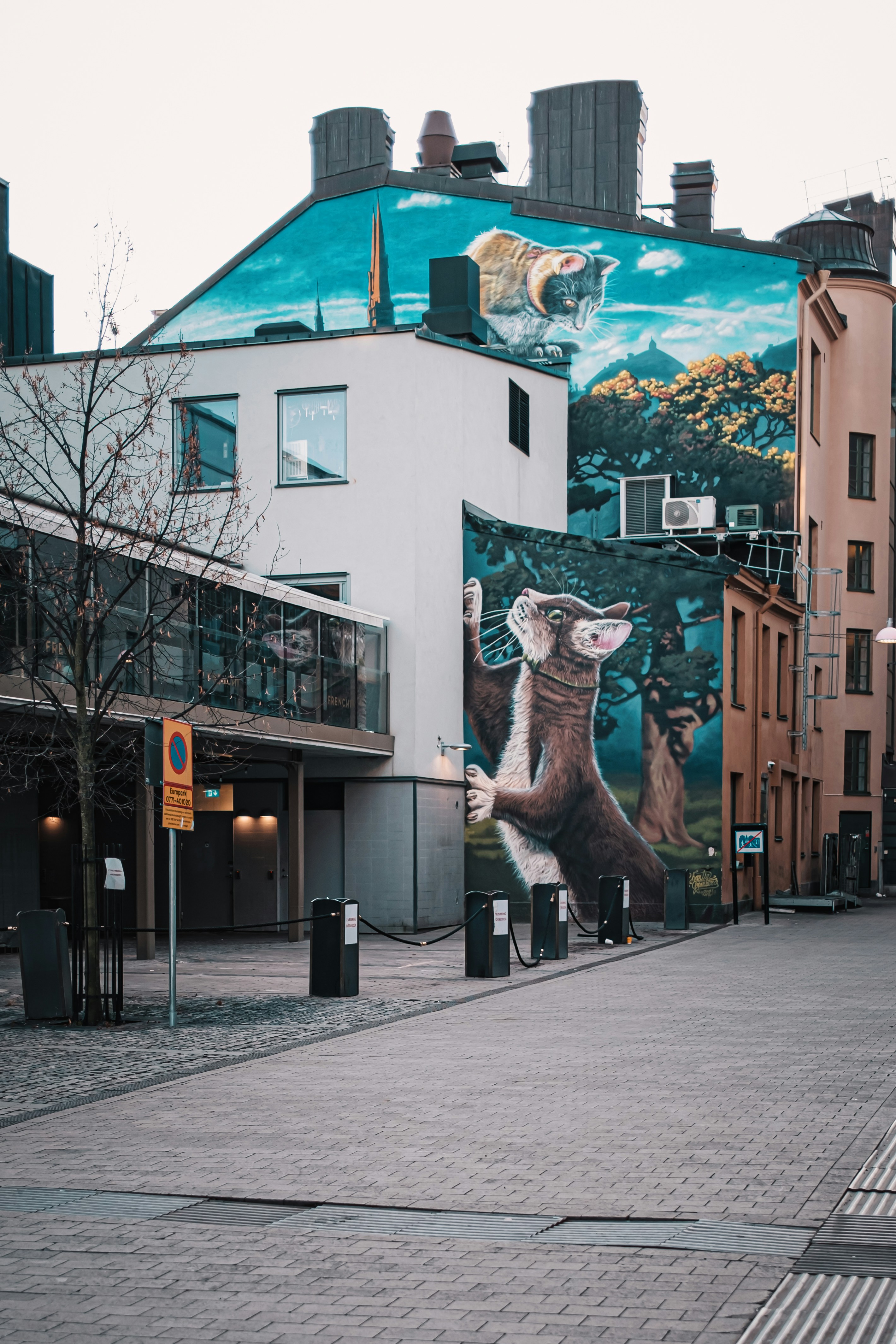 Whiskered Giants Loom Over a Quiet Street Muralscape