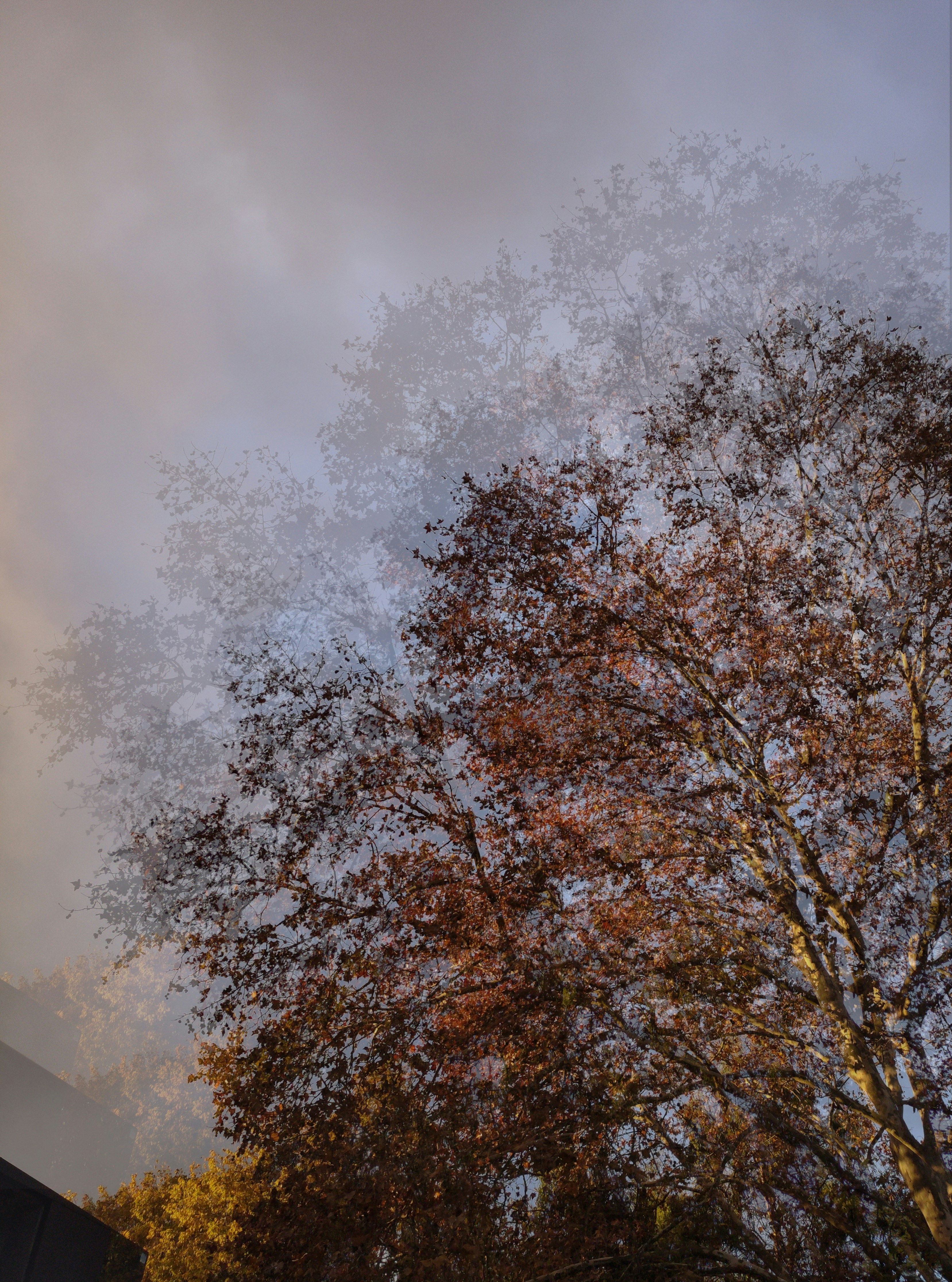 Sample photo from Xiaomi Mi 10T Lite