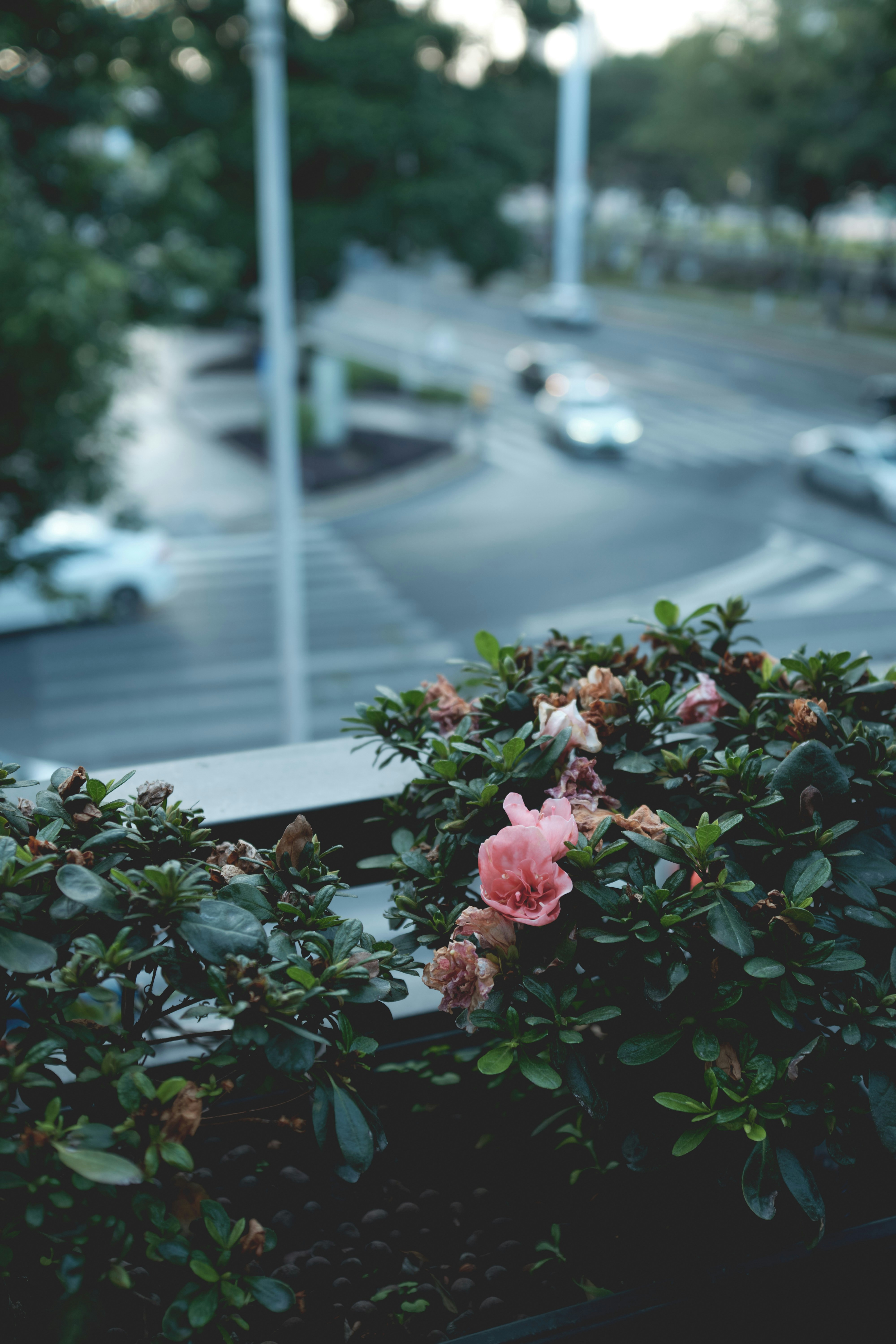 a view of a city street from a window