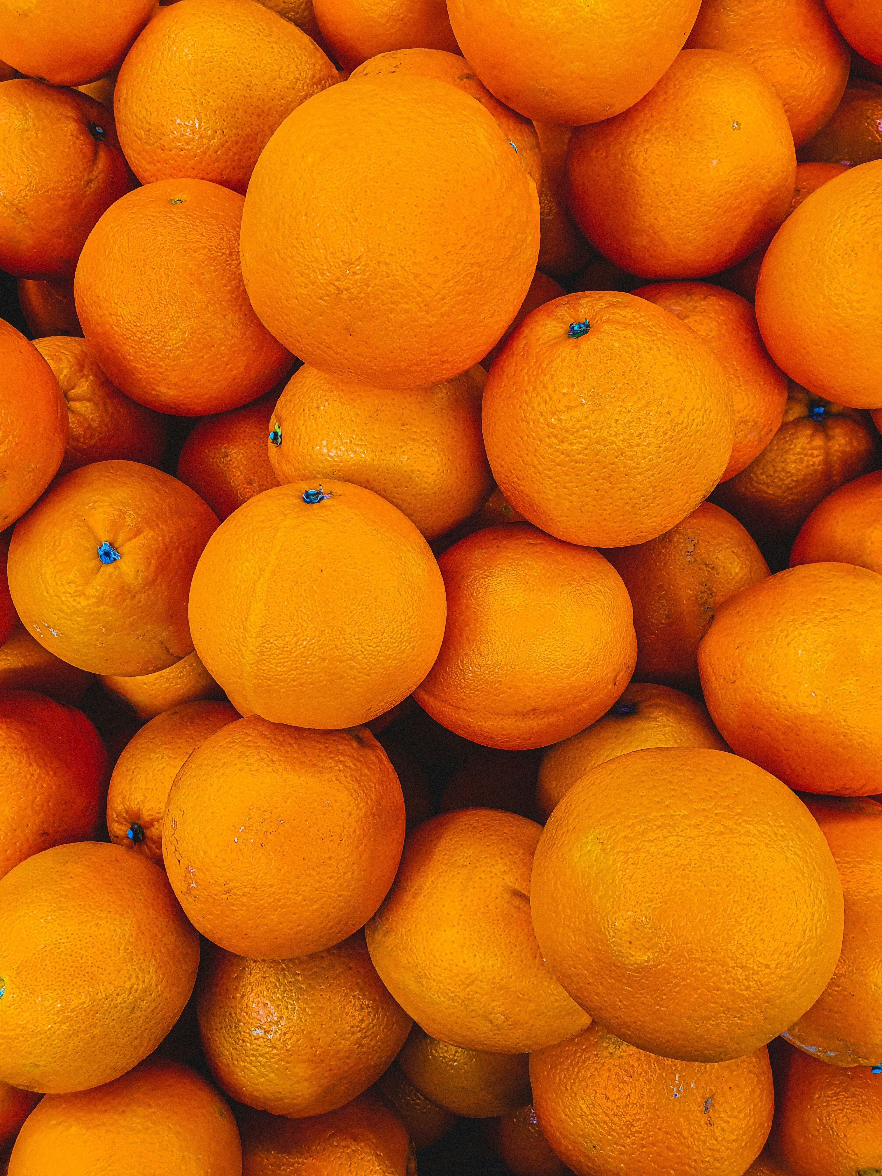 A vibrant assortment of oranges piled together, showcasing their rich textures and colors. The arrangement emphasizes the abundance and freshness of the fruit.