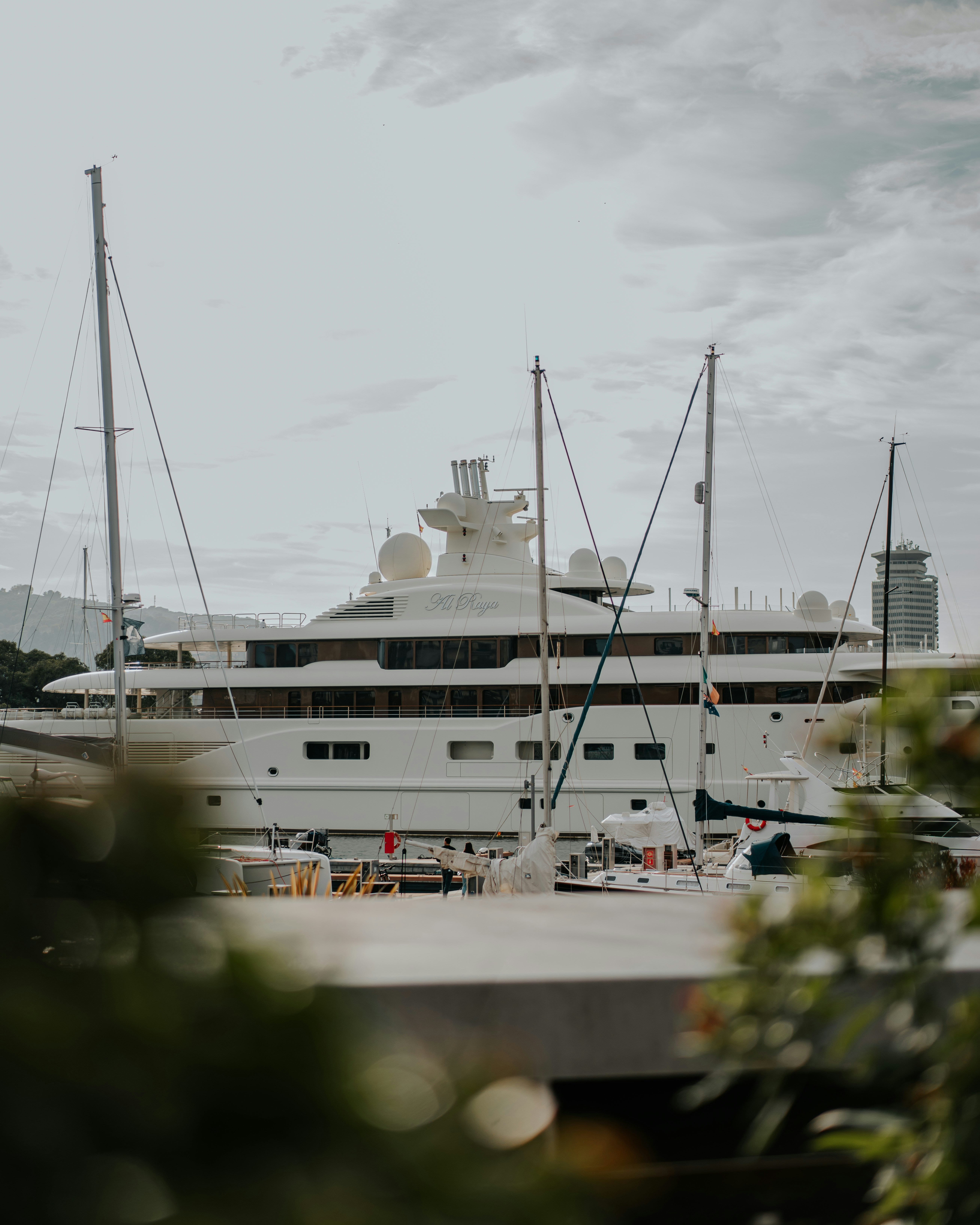 A luxurious yacht anchored in a marina, surrounded by masts and a hint of greenery in the foreground.
