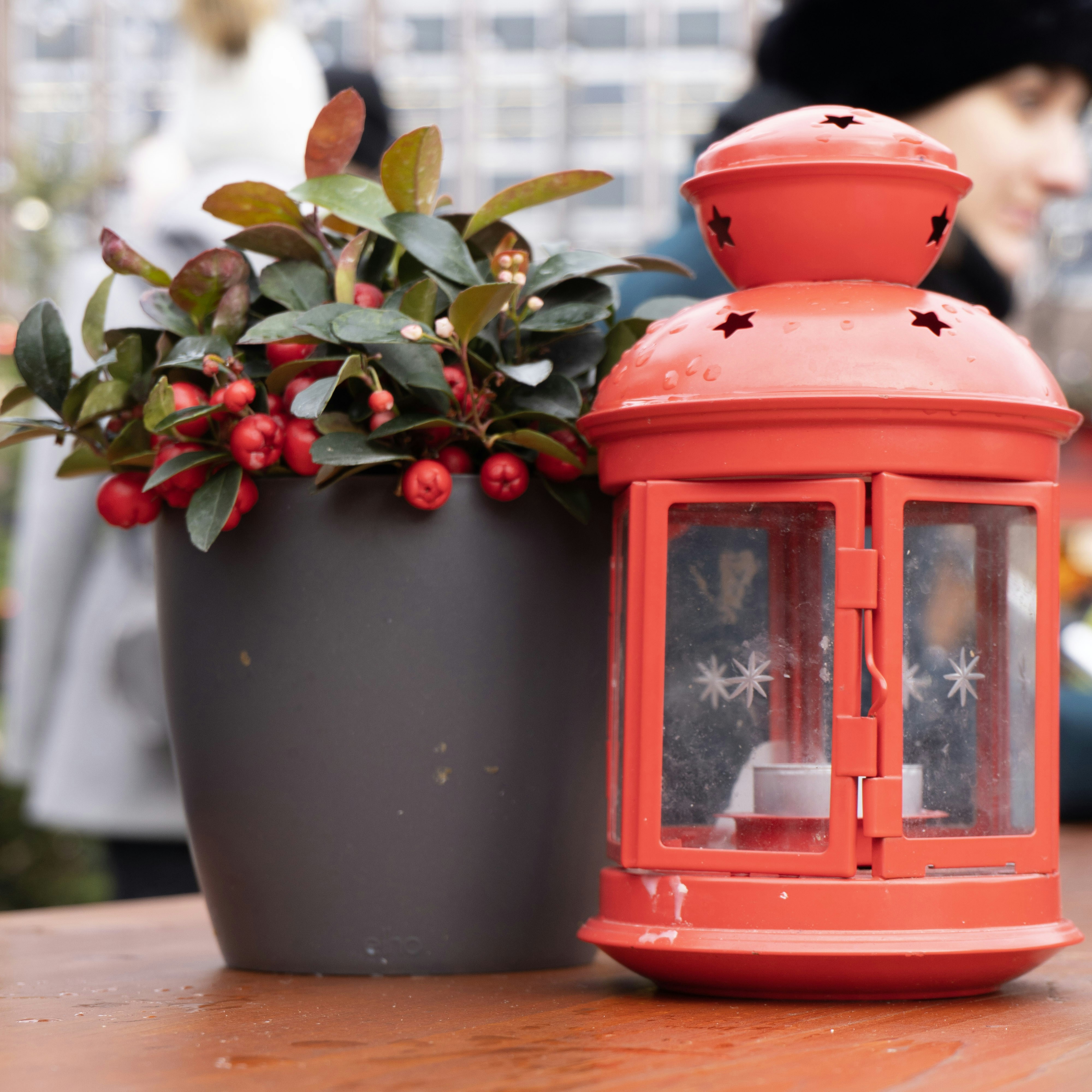 Crimson Lantern and Berry-Bokeh Still Life on a Wooden Table