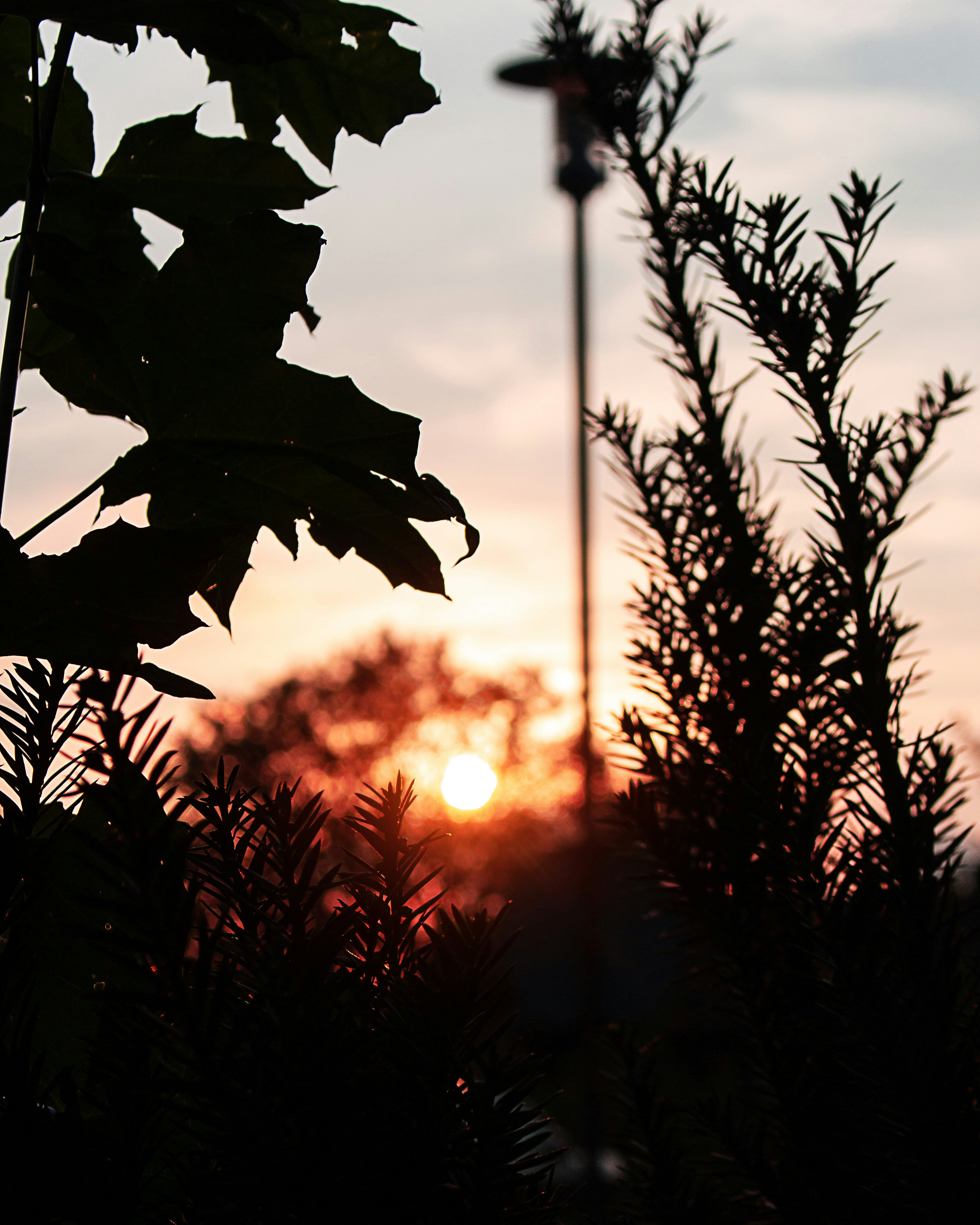 the sun is setting behind some trees