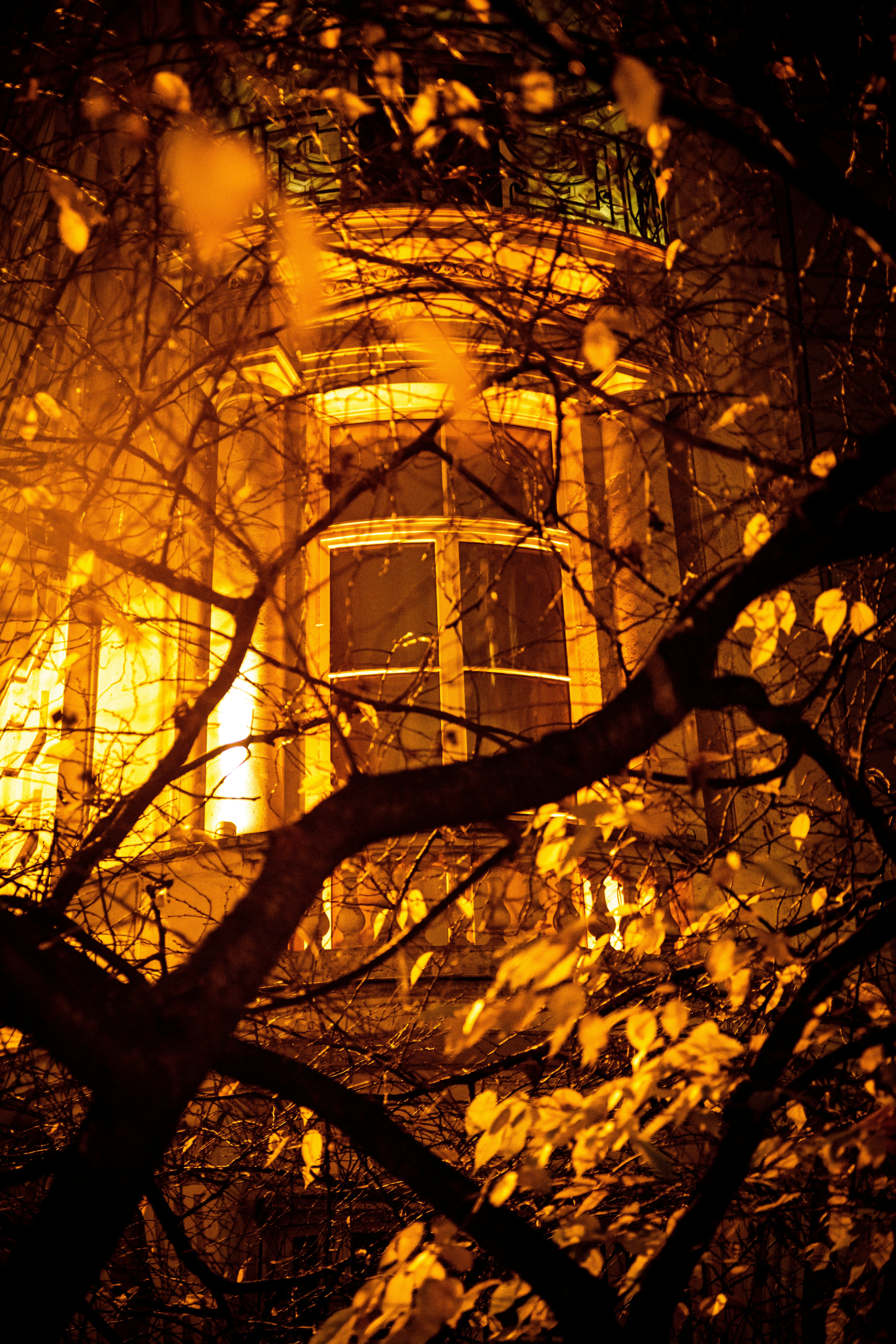 a building lit up at night with a tree in front of it