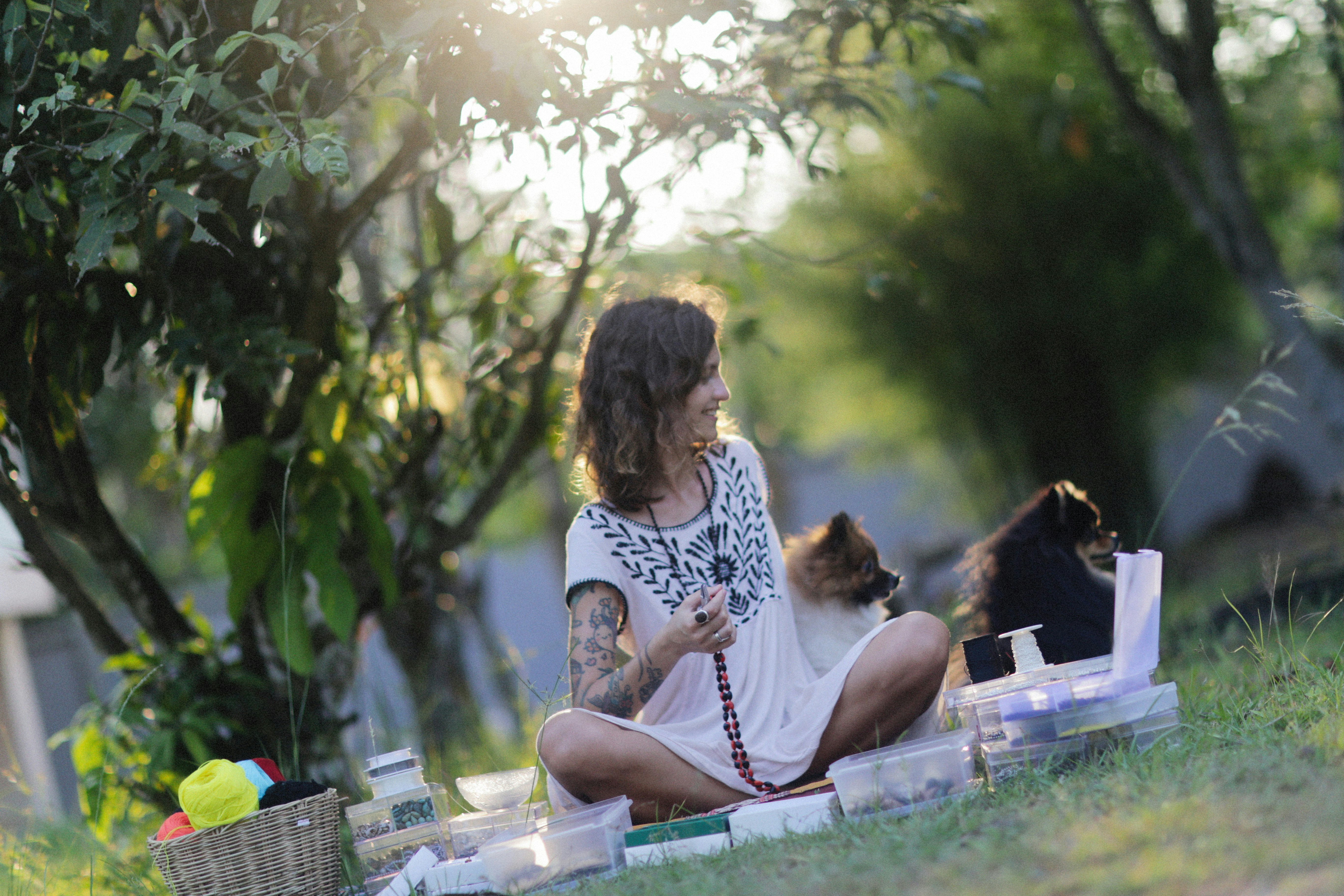 Sunlit Picnic: a Quiet Moment Under a Green Canopy
