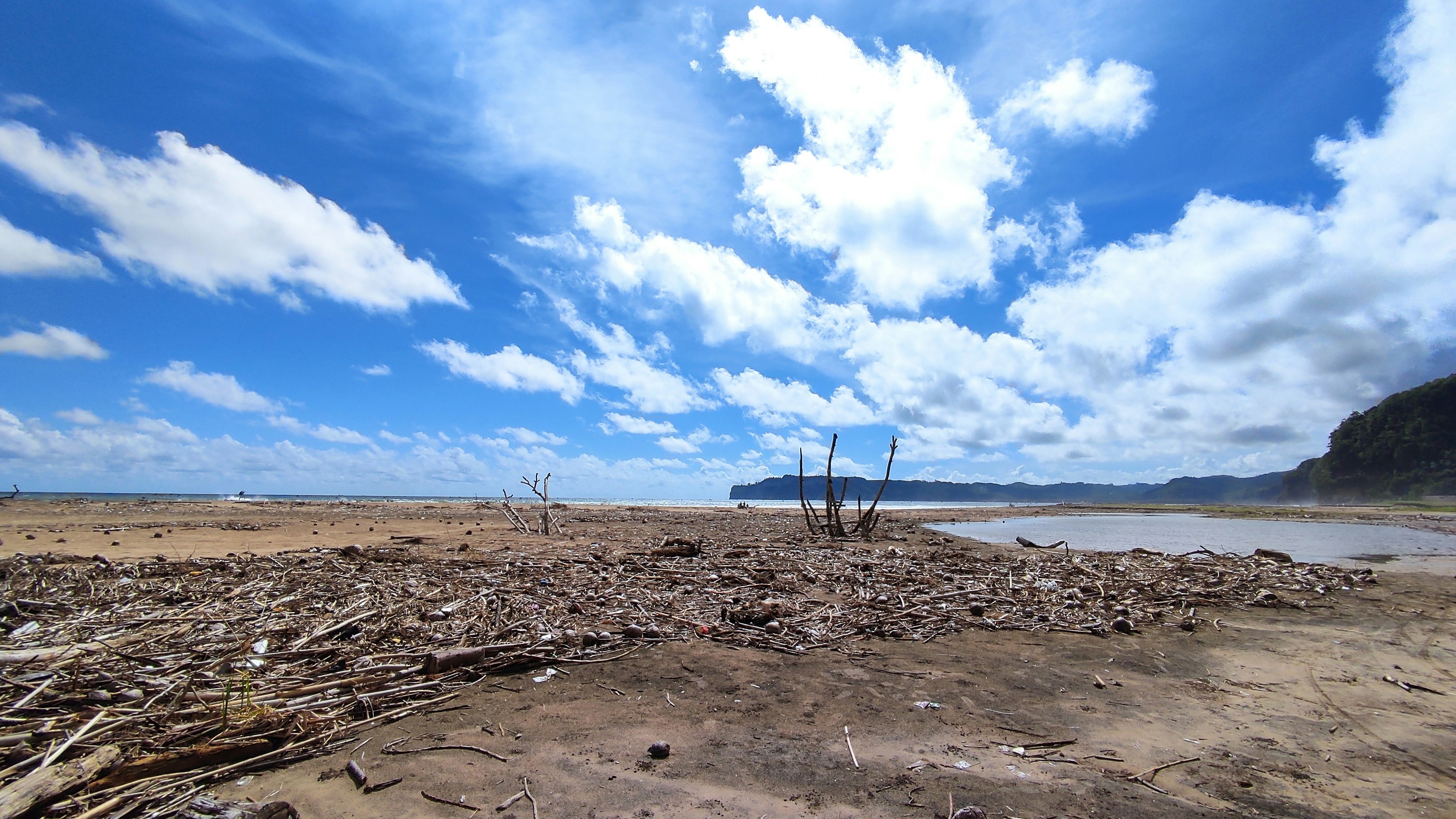 Coastal shoreline strewn with driftwood under a bright, cloud-filled sky with calm water and distant hills.
