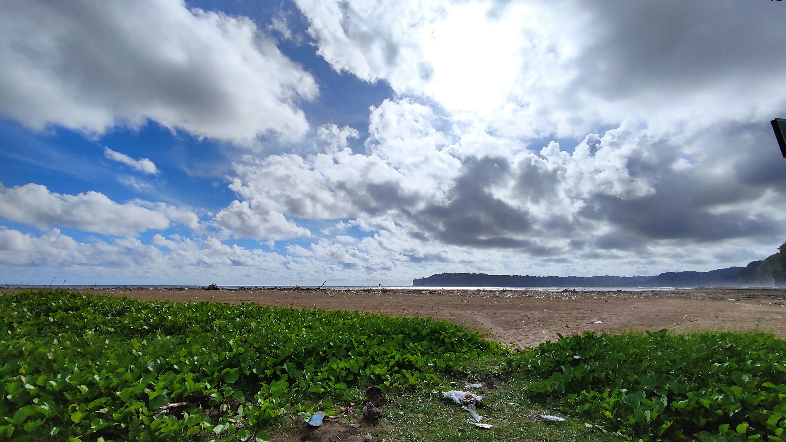 Vast beach scene under a dynamic sky, featuring vibrant green foliage in the foreground and distant cliffs along the horizon.