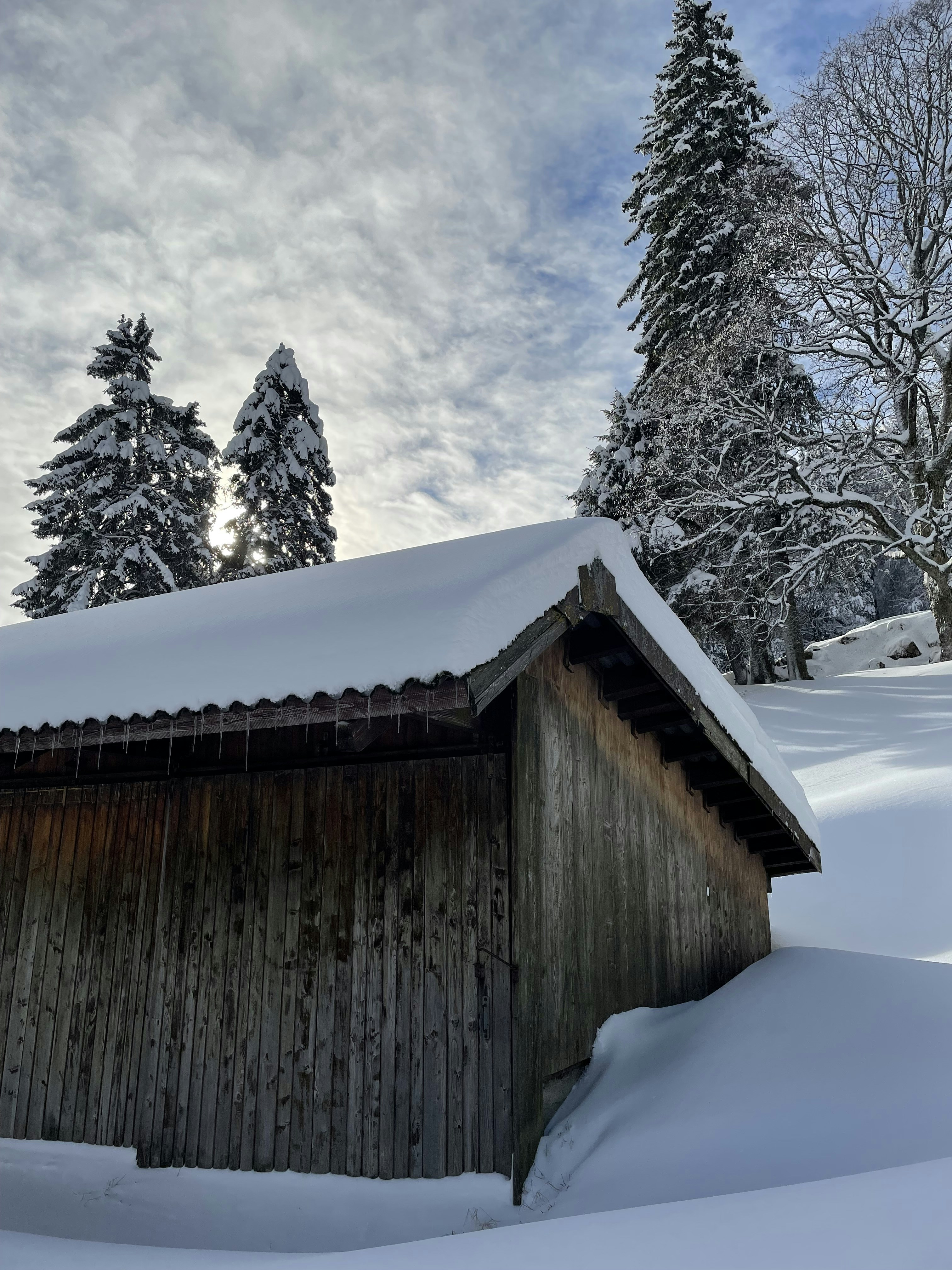 Wooden cabin partially buried in snow, surrounded by tall evergreen trees under a cloudy sky. Icicles hang from the roof.