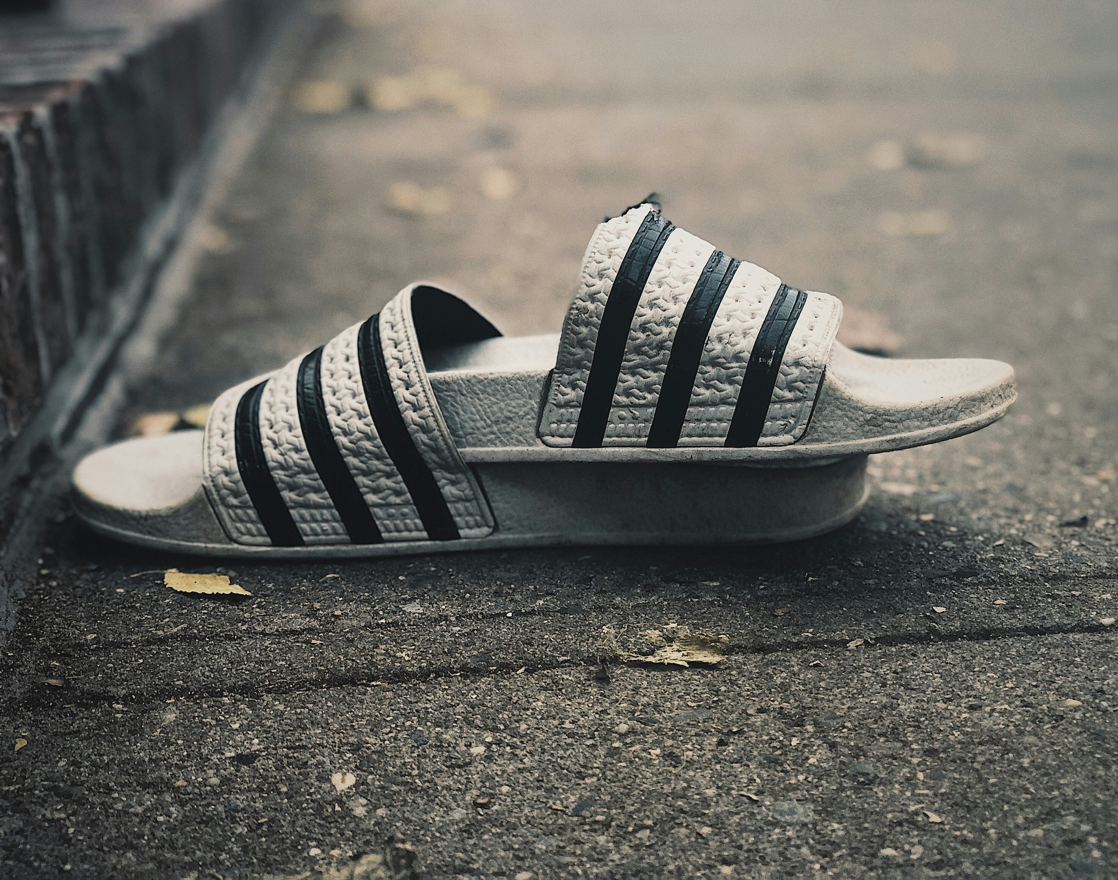 Slippers Pictures | Download Free Images on Unsplash