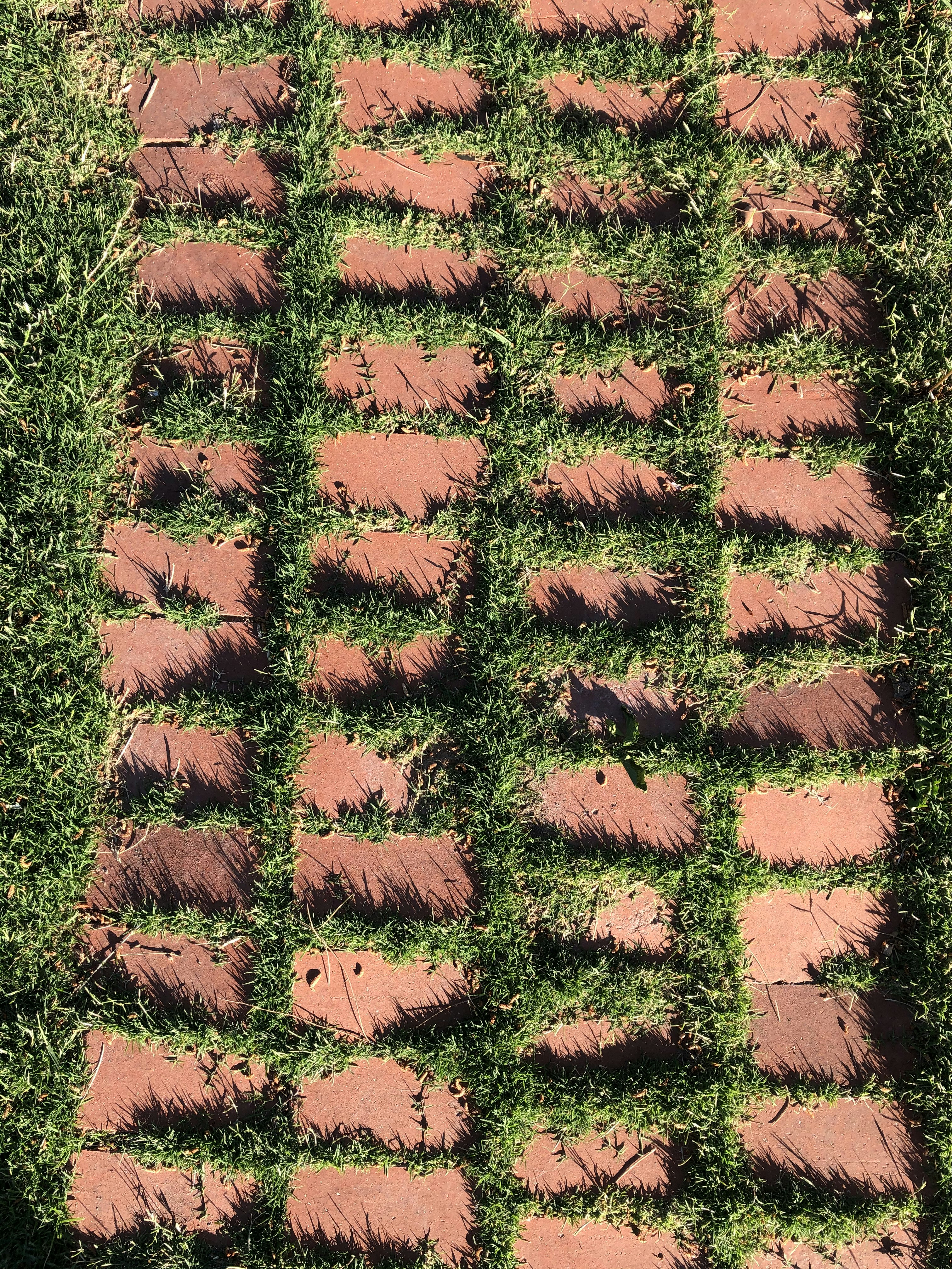 Textured pathway of red bricks interspersed with vibrant green grass, creating a natural pattern of light and shadow.
