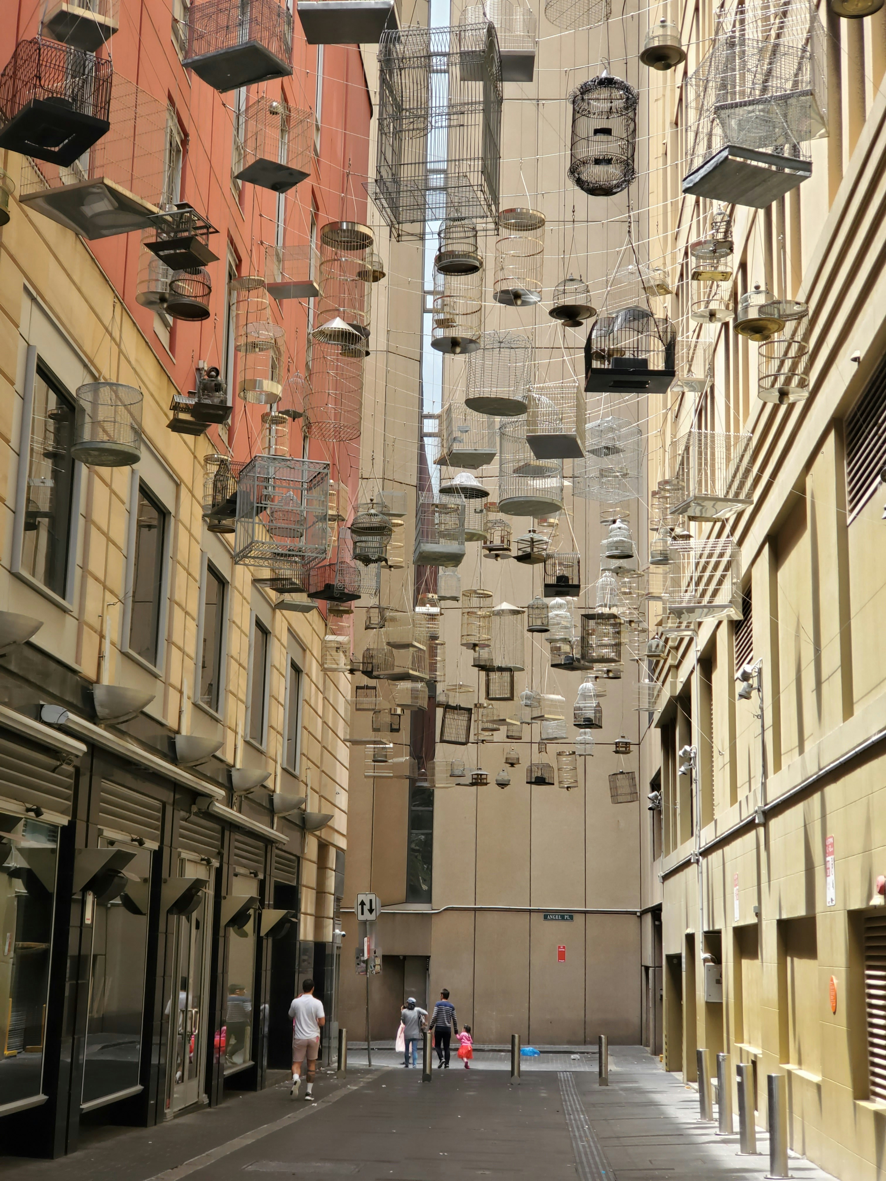 Aerial Symphony of Cages