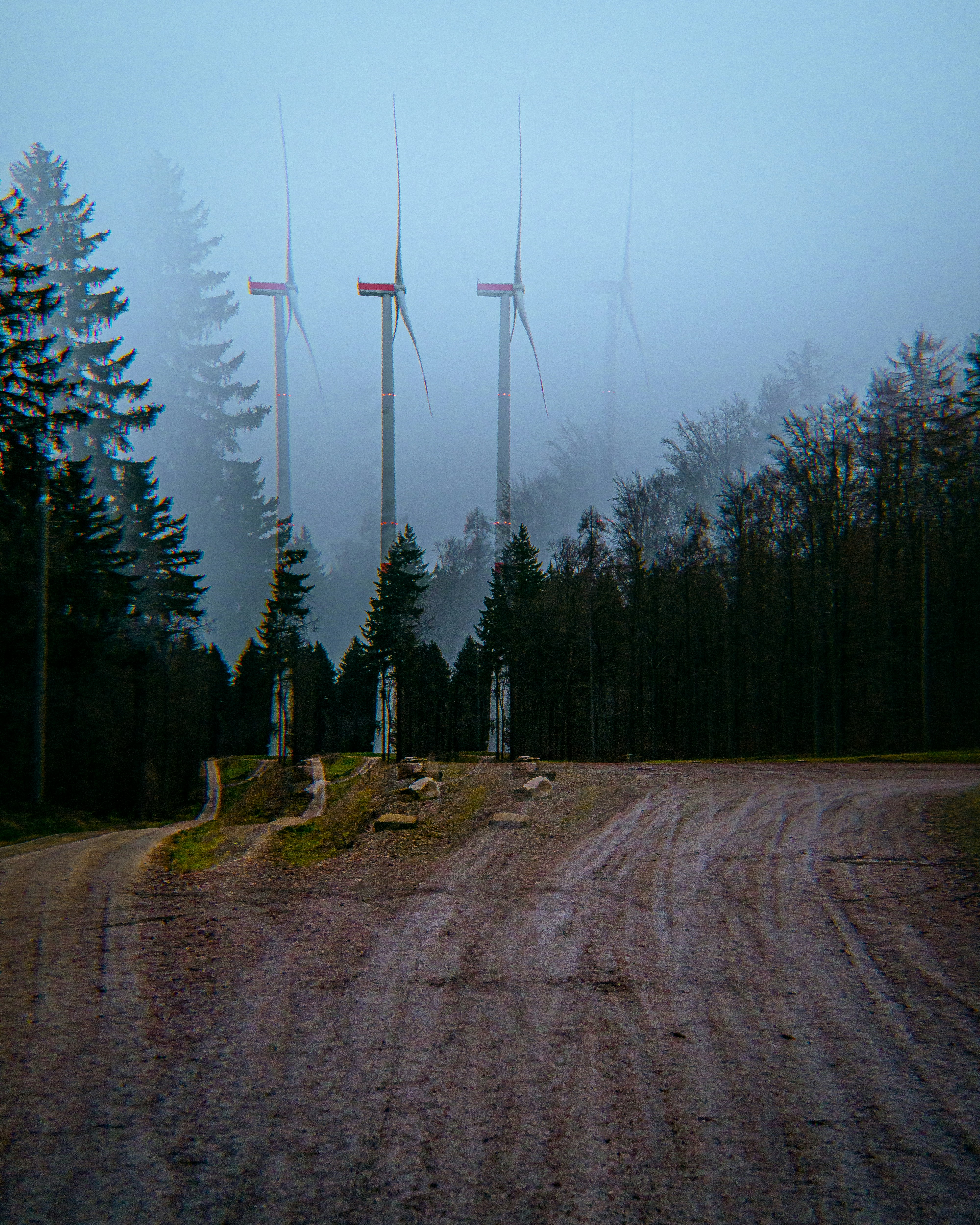 Fogbound Ridge: Wind Turbines Rising Beyond a Gravel Forest Road