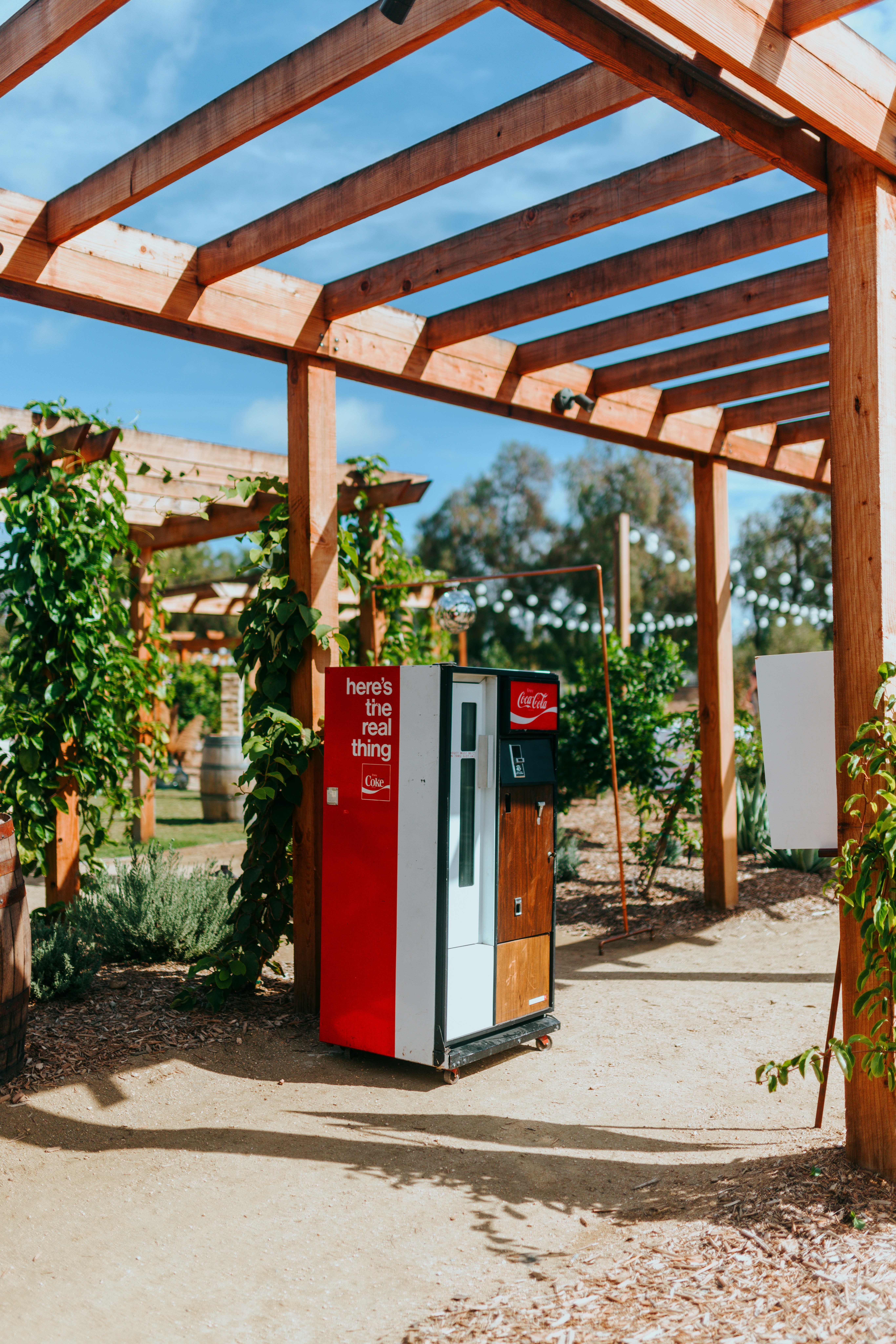 Crimson Vending Machine Beneath Sunlit Timber Arches