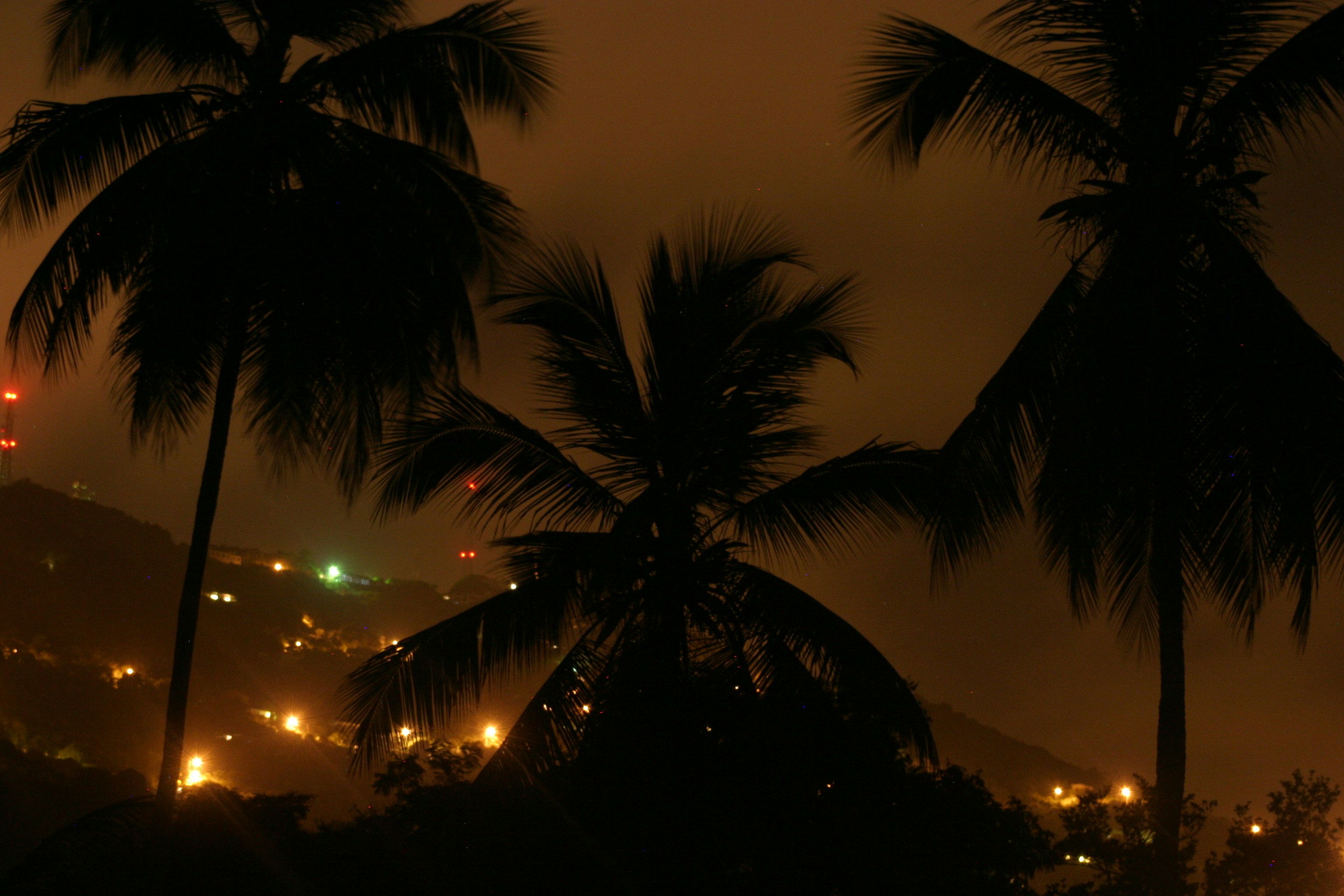 Ember Night: Palm Silhouettes Framing a City-Glow Horizon