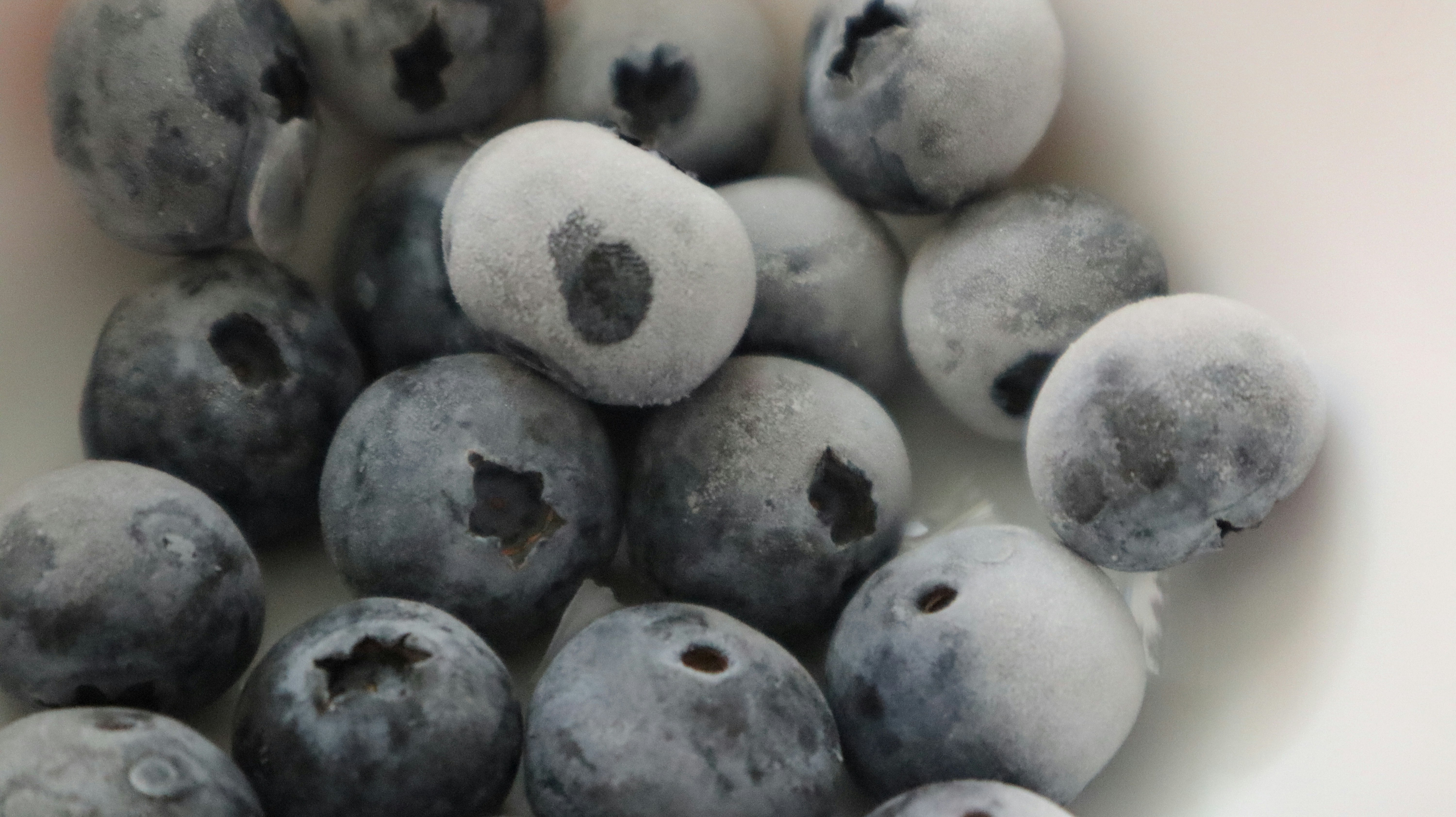 Close-up of frost-covered blueberries nestled in a bowl, showcasing their textured surfaces and rich colors.
