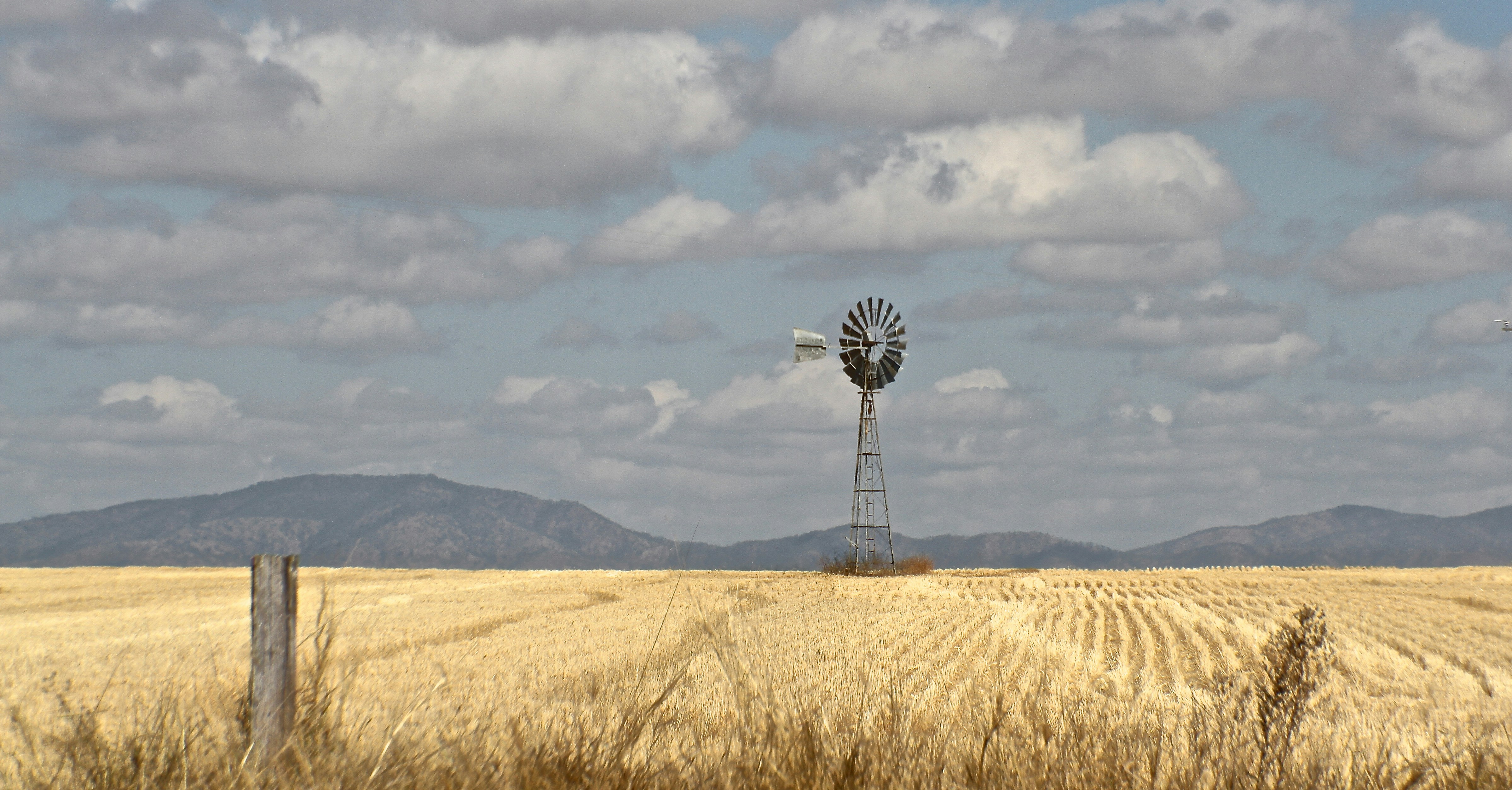 Solitary Windmill Amidst Golden Fields