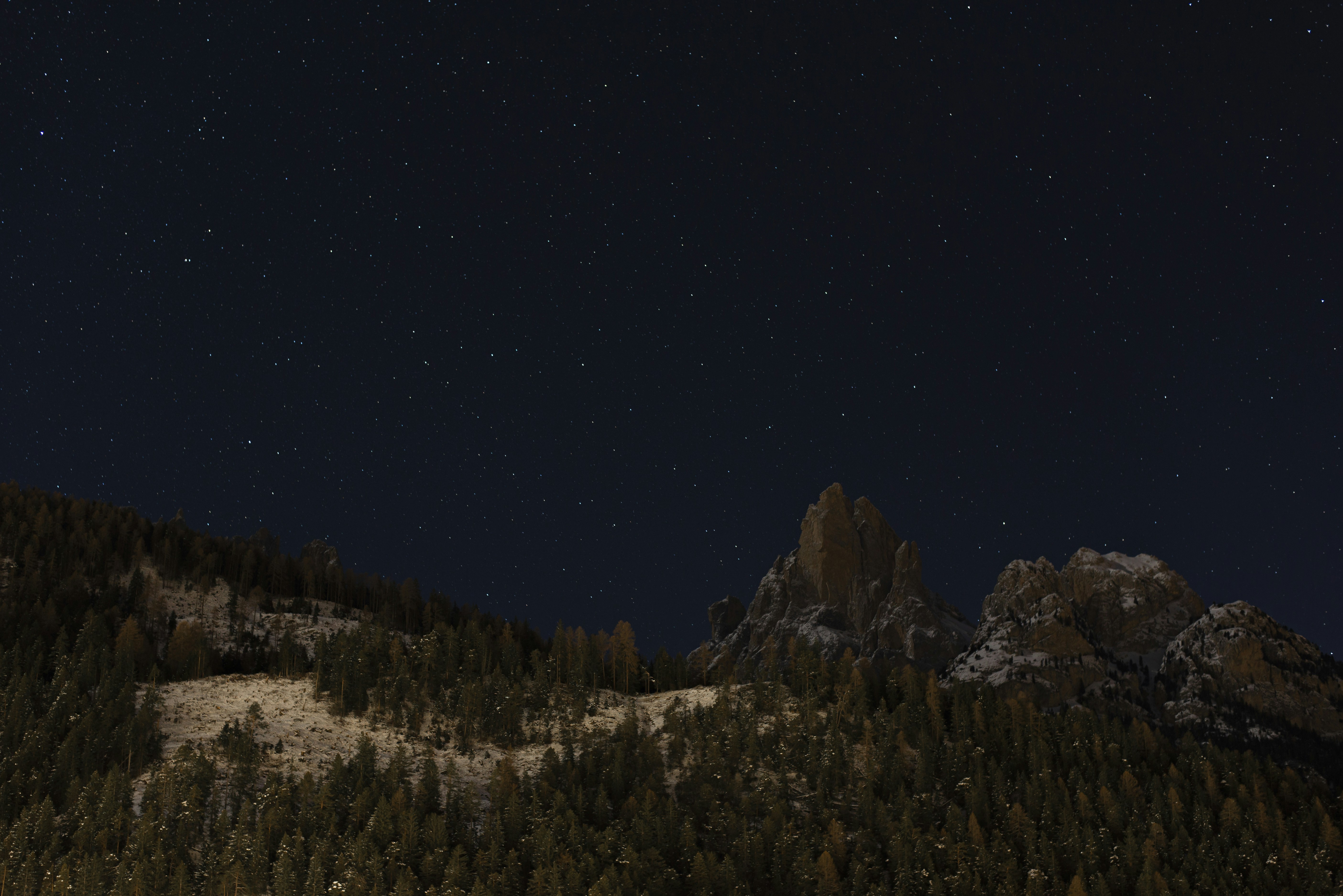 Stone Sentinel Under a Star-Dusted Sky