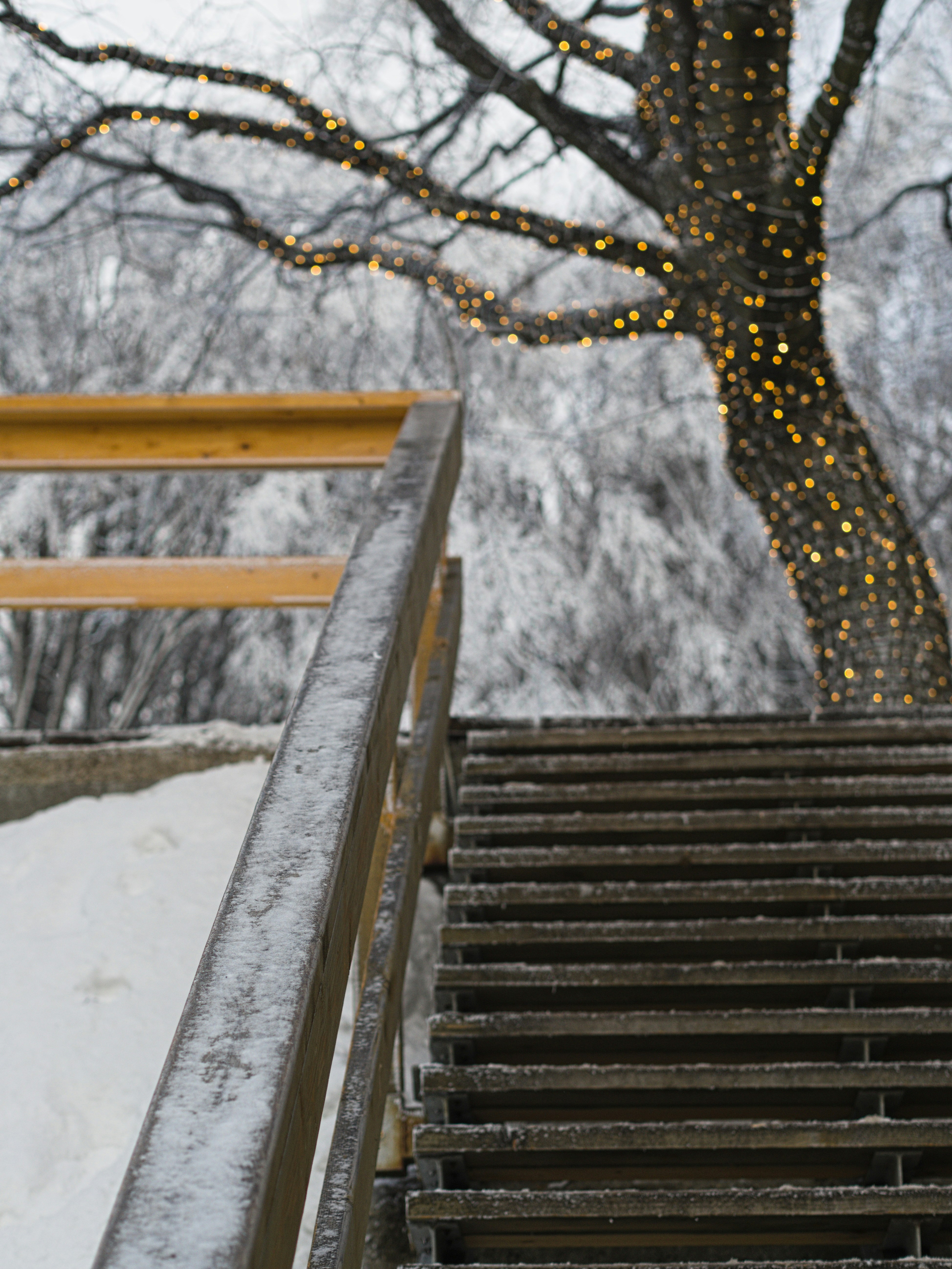 Wooden staircase leading up, adorned with glowing lights against a snowy backdrop and bare trees. The scene evokes a serene winter evening.