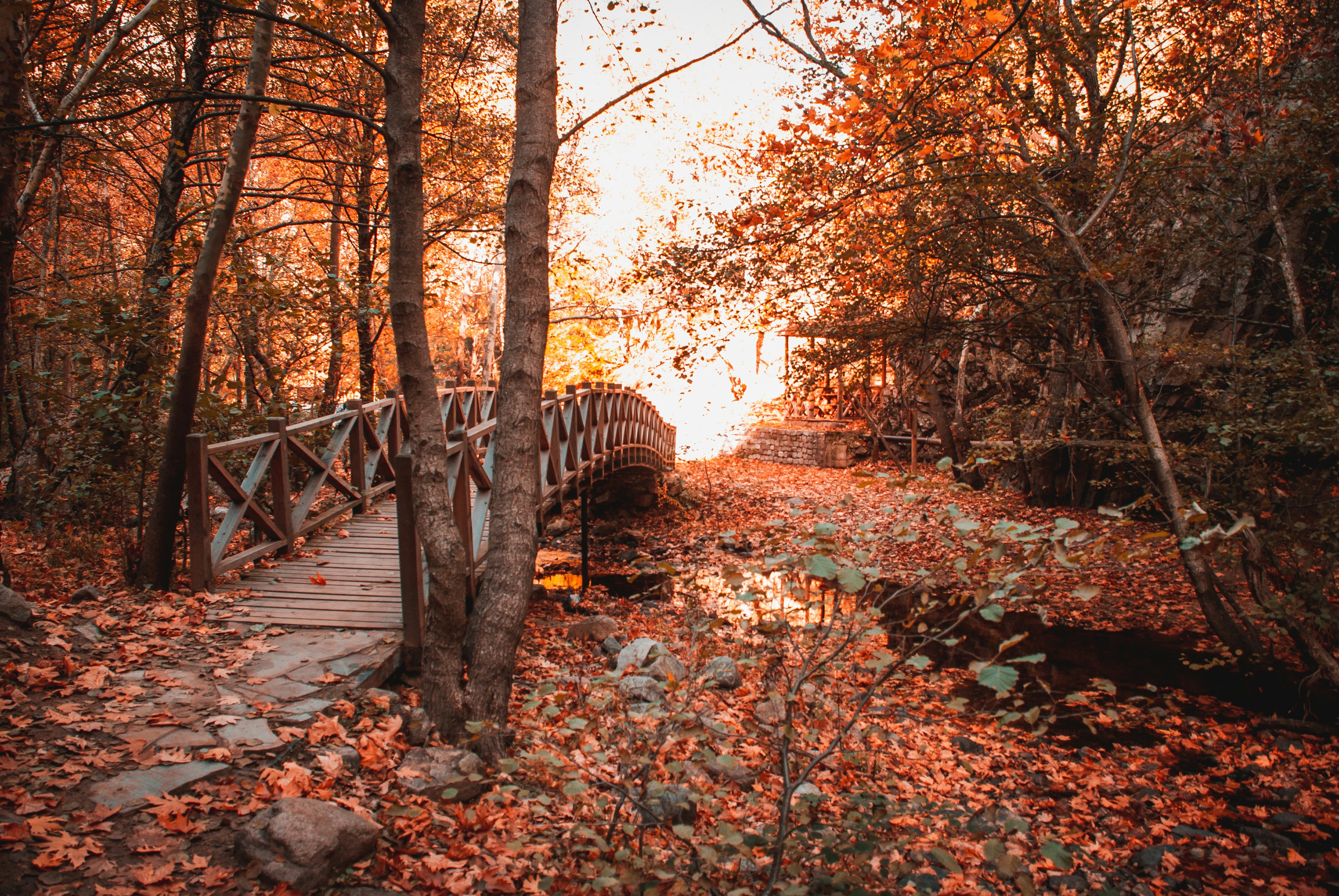 Wooden bridge arching over a serene stream surrounded by vibrant autumn foliage. The scene evokes tranquility and the beauty of nature's transition.