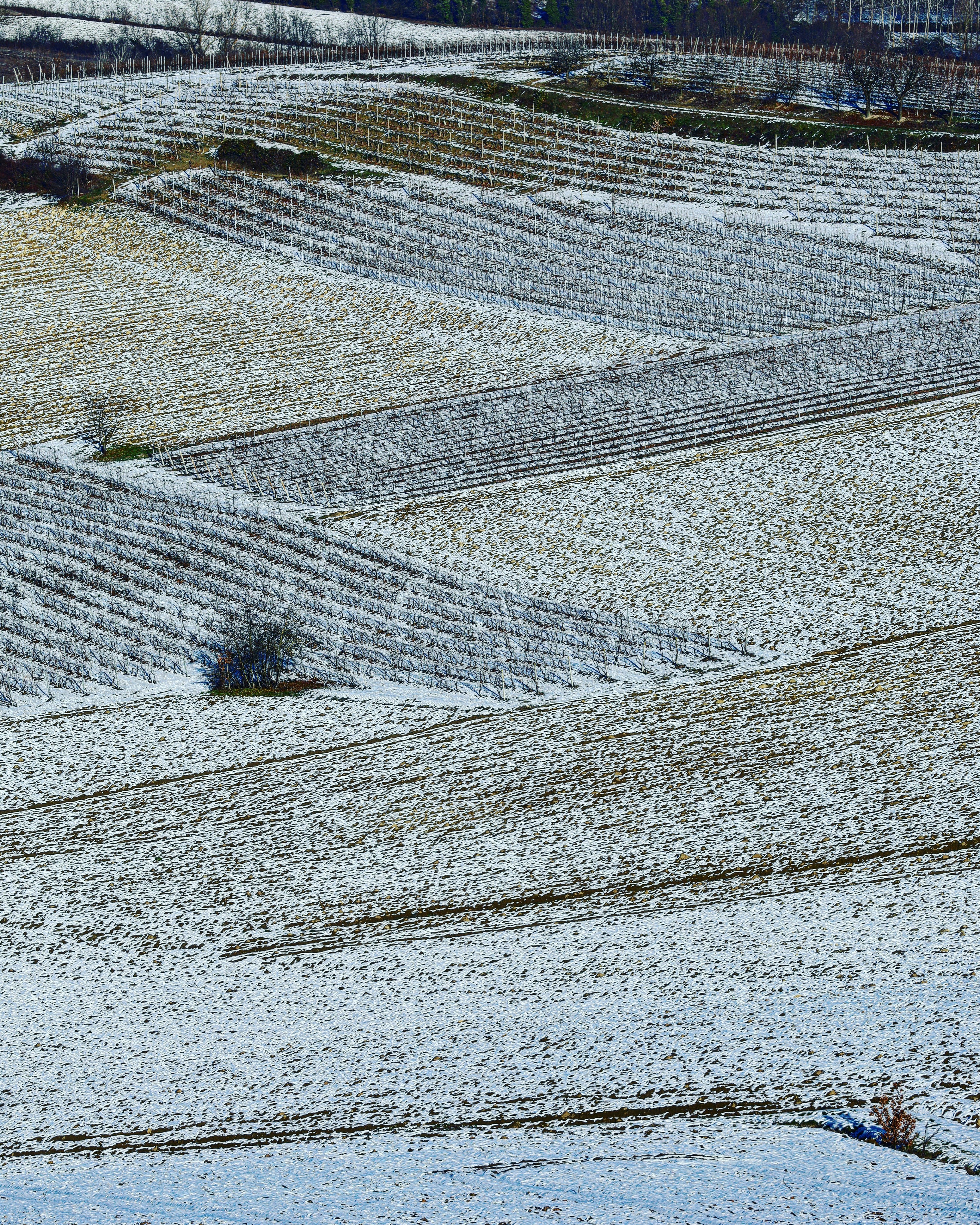 Terraced Snowfields: Quiet Geometry of Winter Light