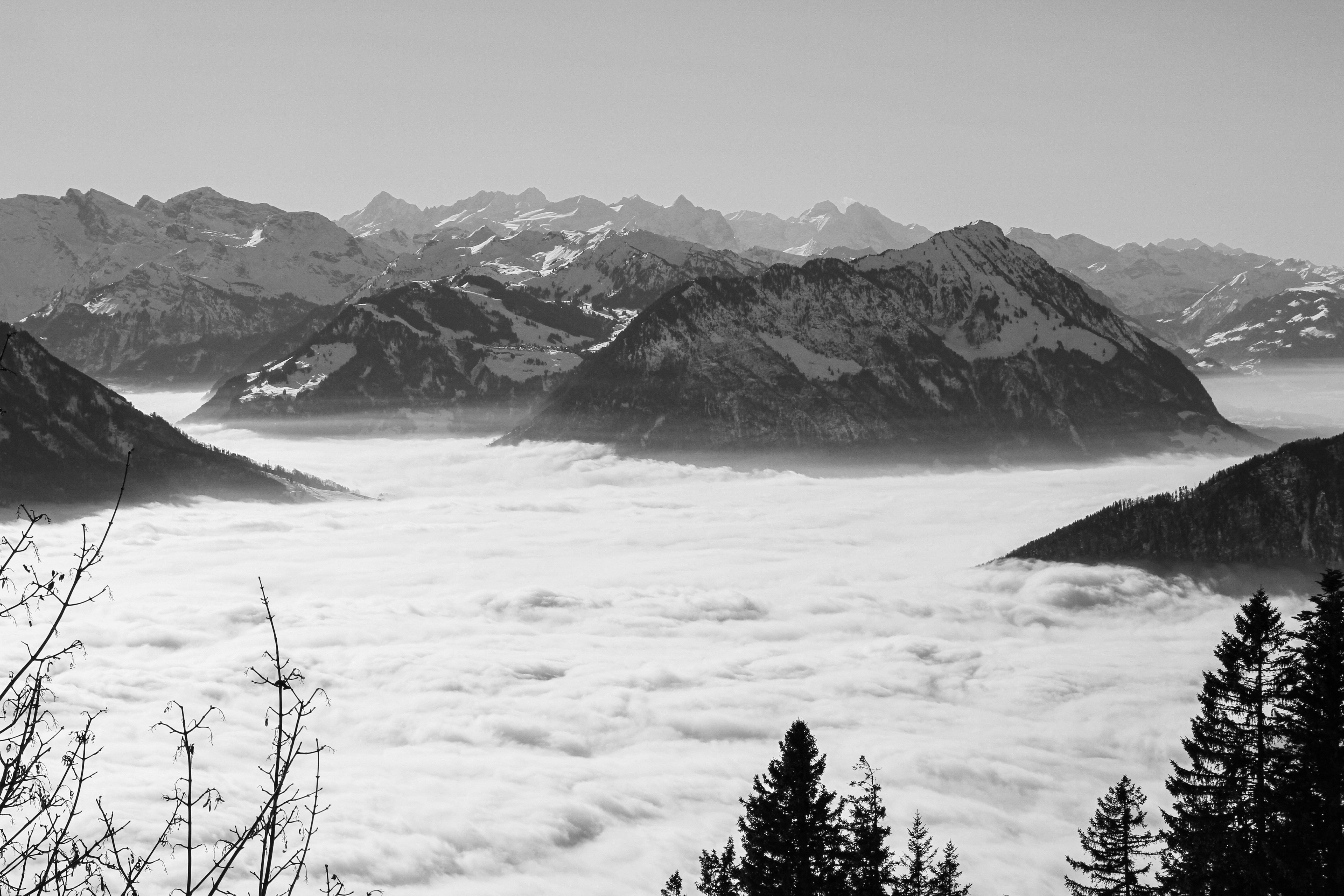 Sea of clouds  | a black and white photo of a mountain range