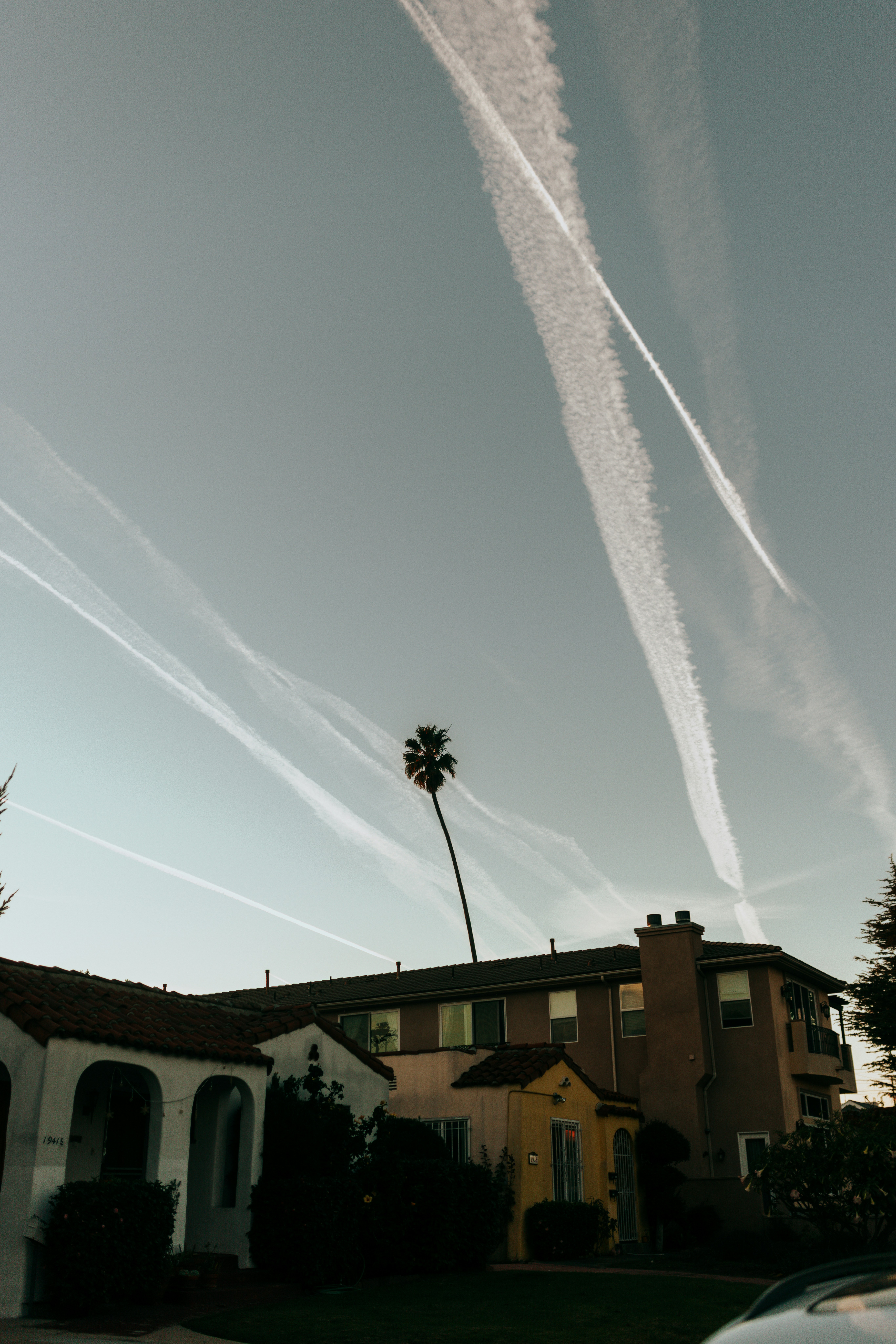 Palm Shadow and Vapor Trails Over Quiet Suburban Street