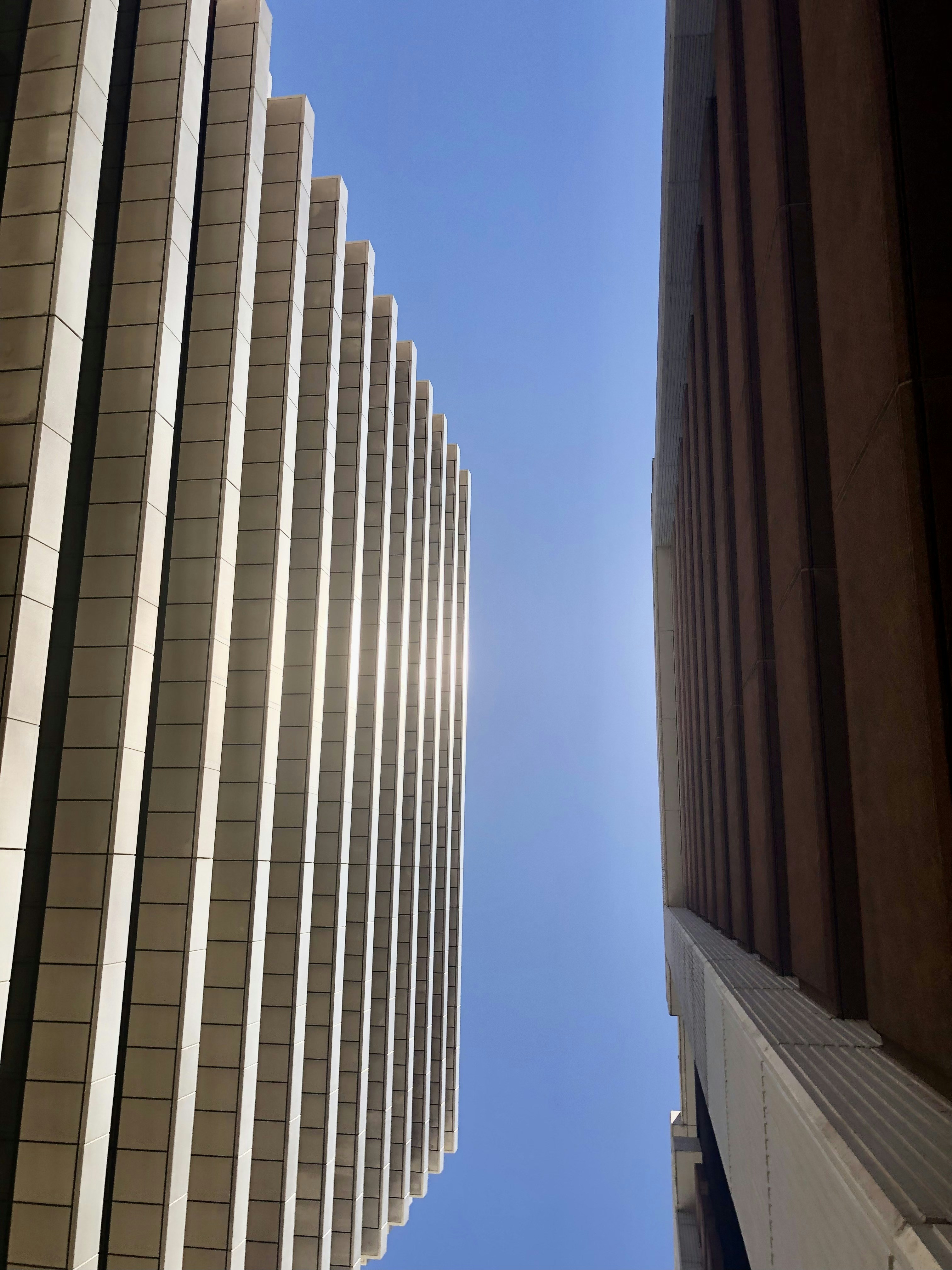 Looking up at a tall building from the ground photo – Free Building ...