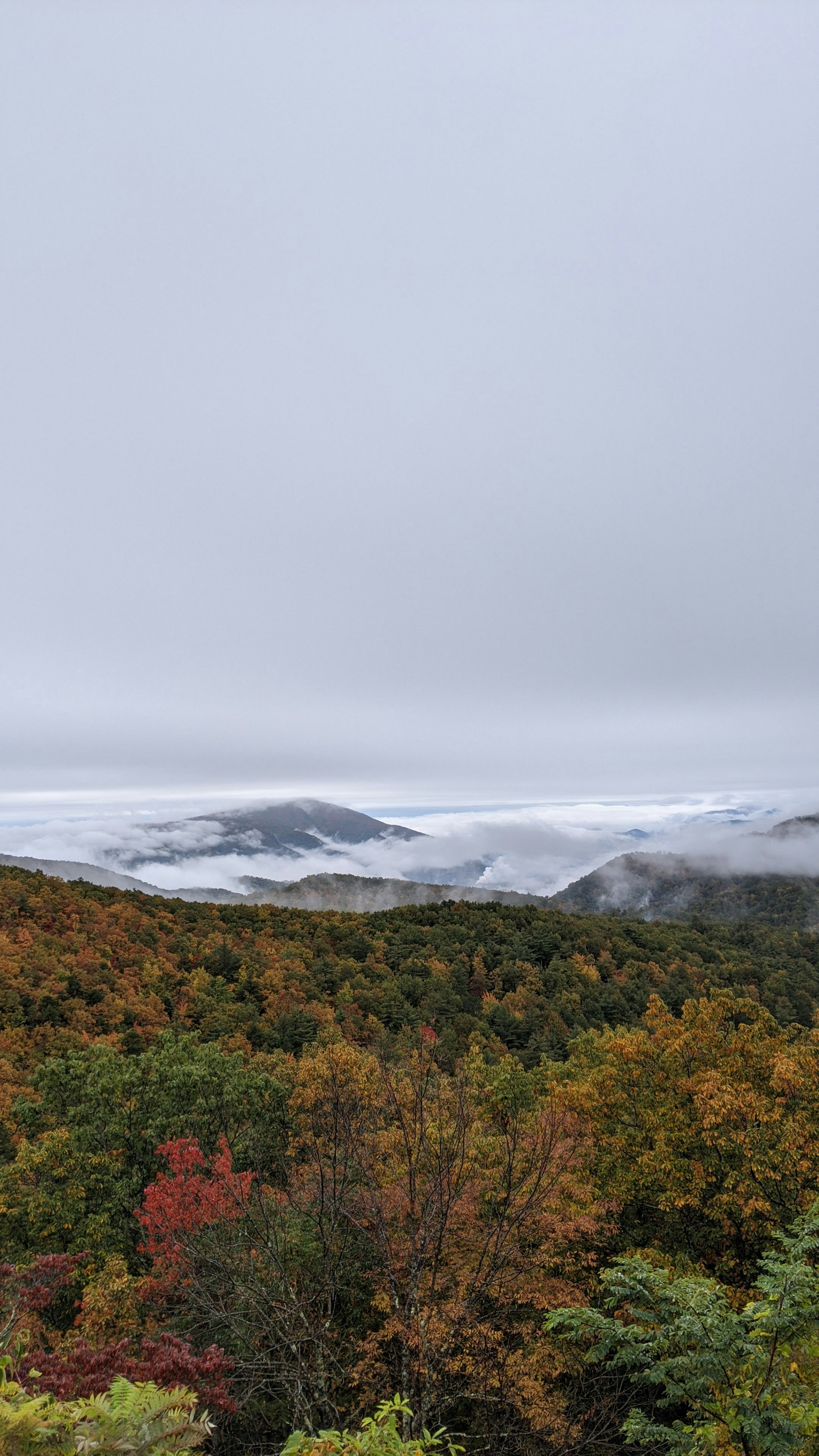 Vibrant autumn foliage blankets the hills as mist rolls over the distant mountains, creating a serene landscape. The scene captures the tranquil beauty of nature in transition.