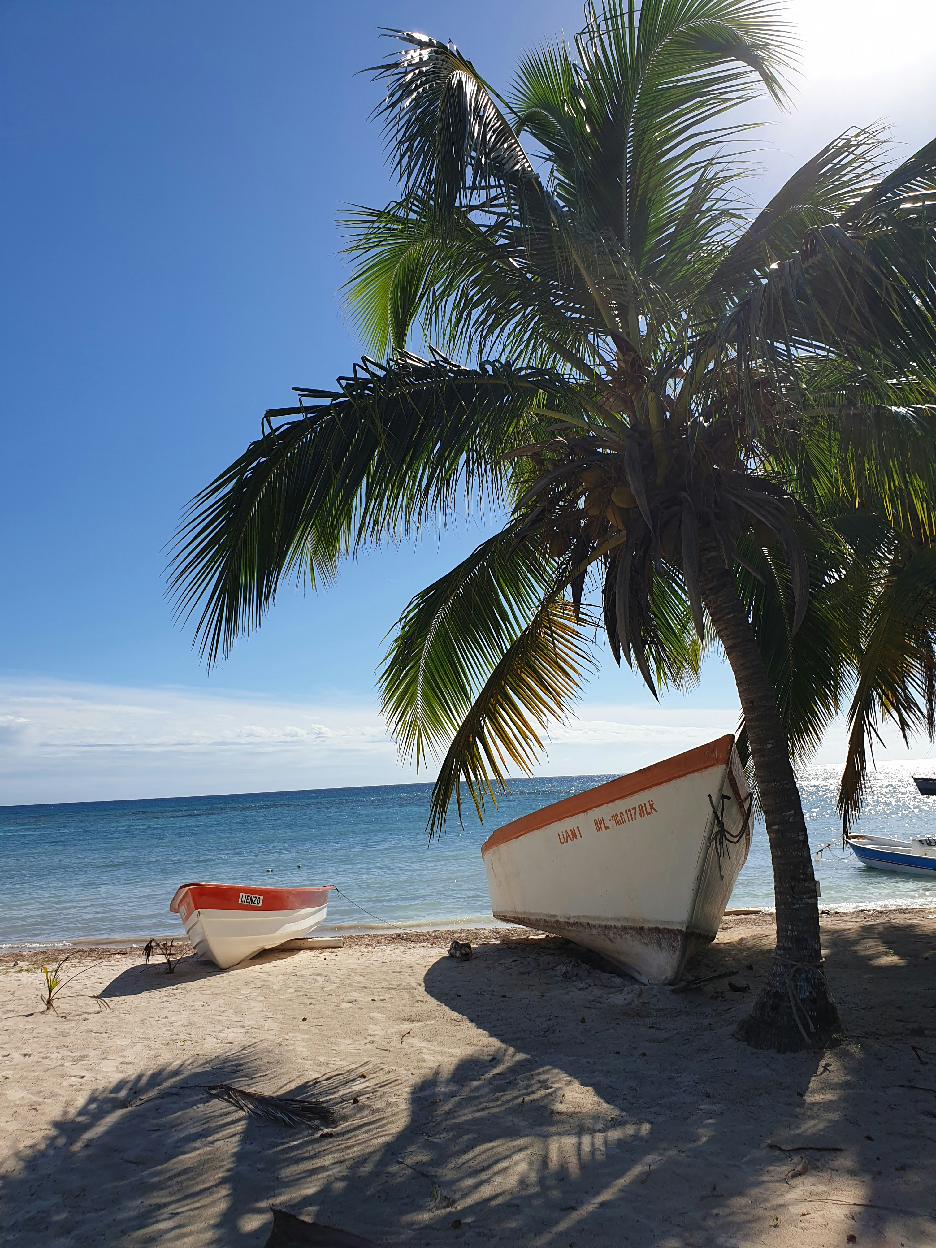 Two boats resting on a sandy beach under a palm tree, with a clear blue sea in the background. The scene evokes a tranquil tropical atmosphere.