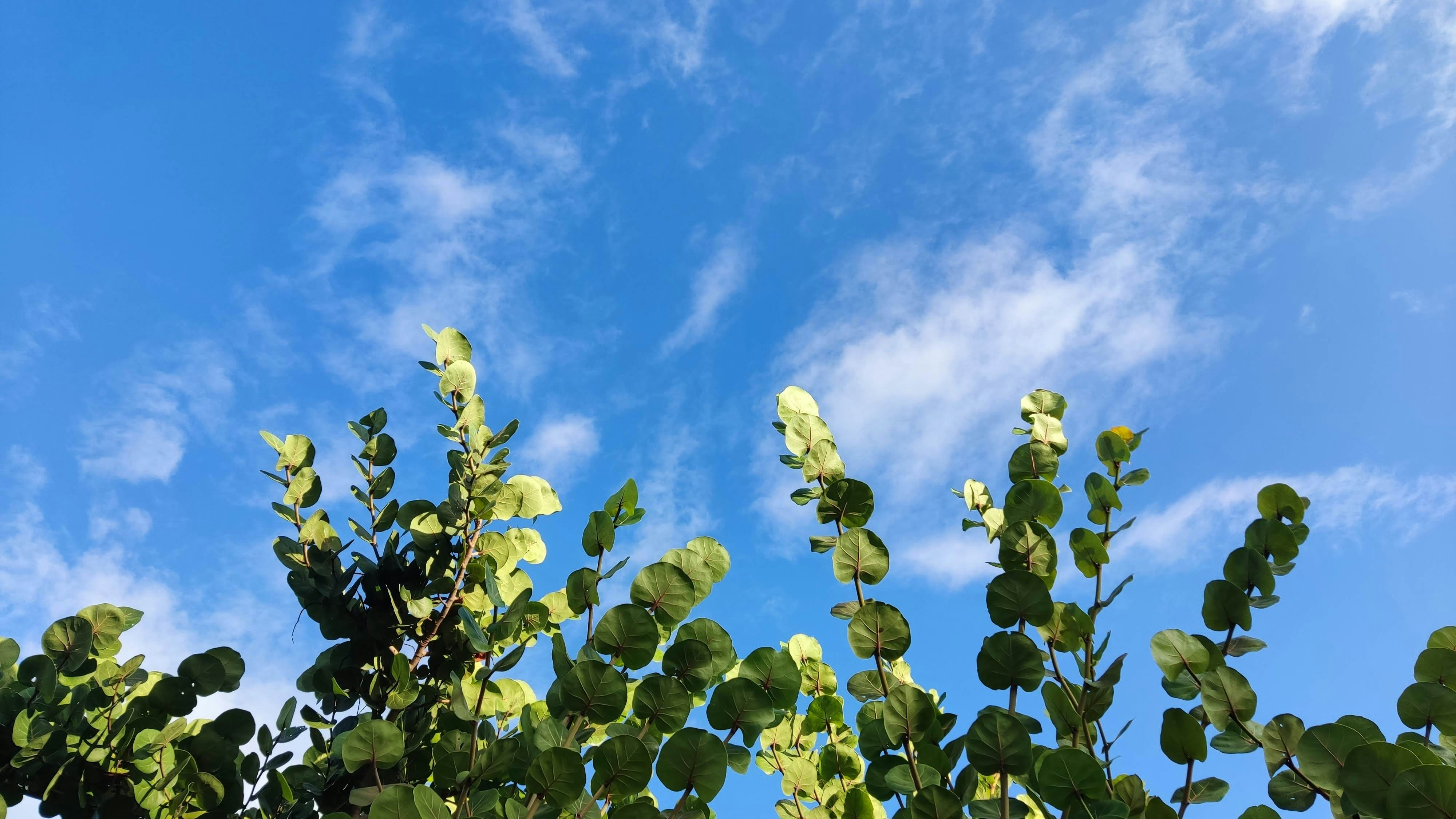 Blue and green background