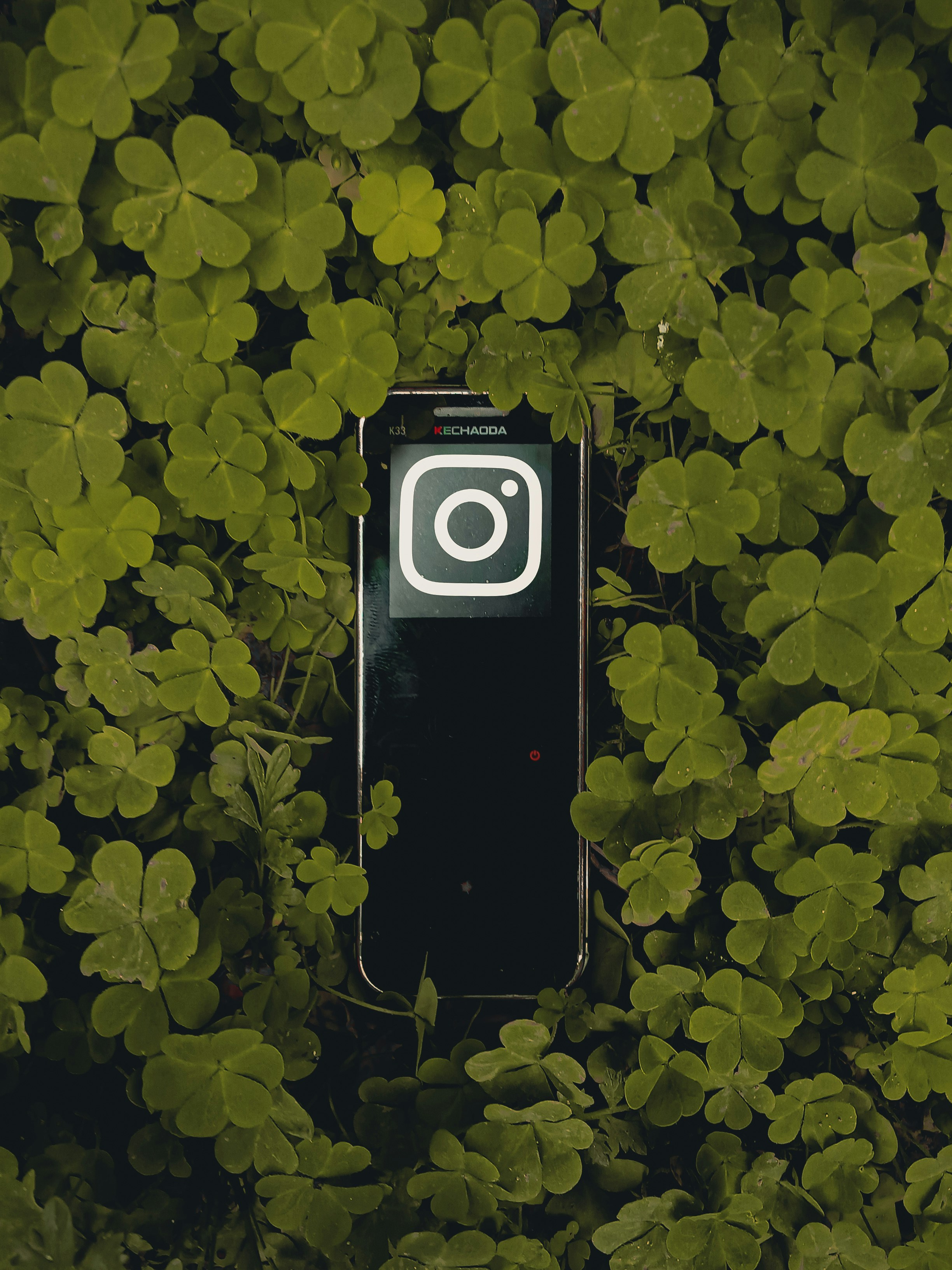 Instagram Logo Reclaimed by Green Carpet of Clover