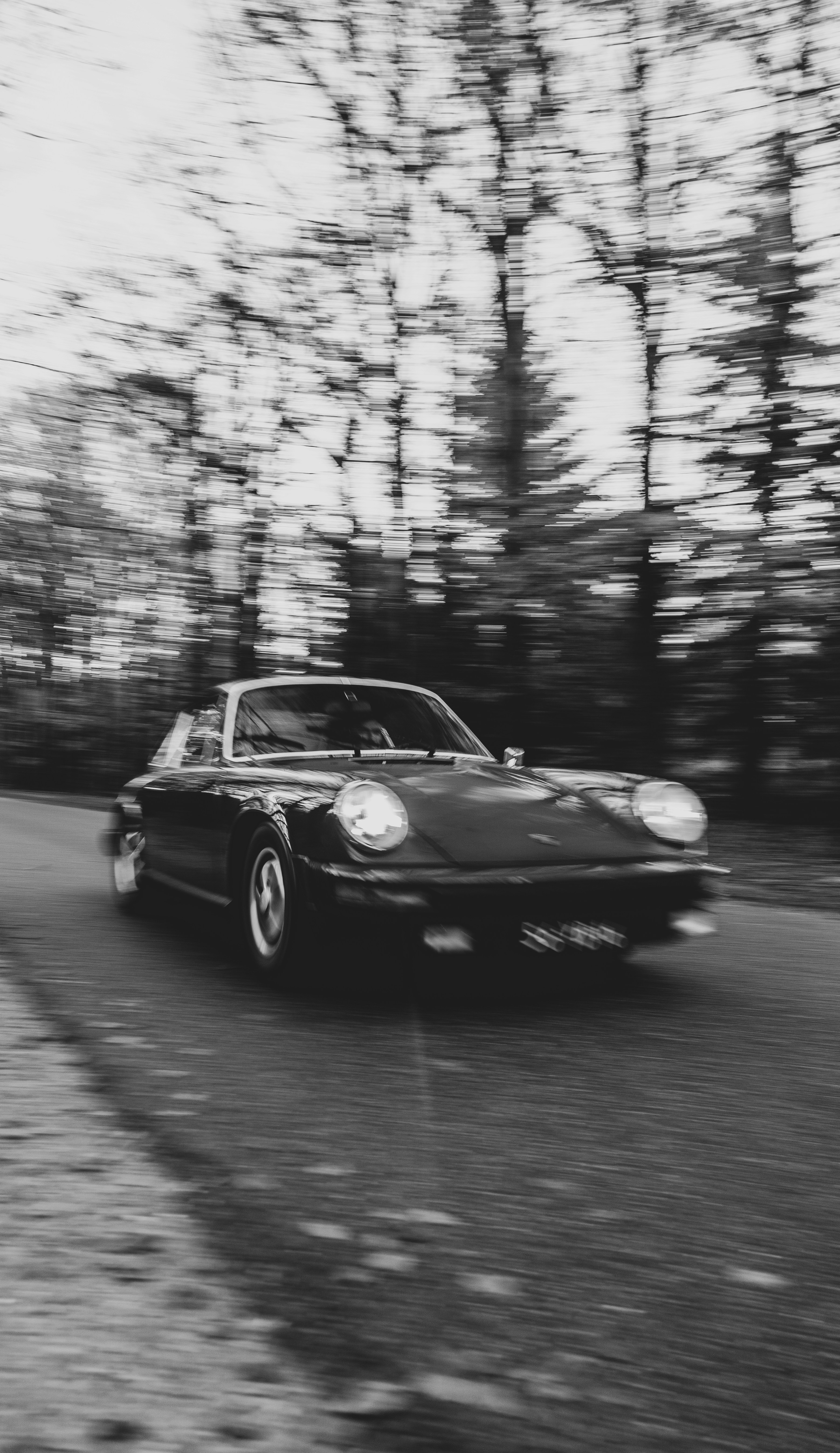 Monochrome Turbo: A Vintage Porsche Slices Through a Blur of Trees