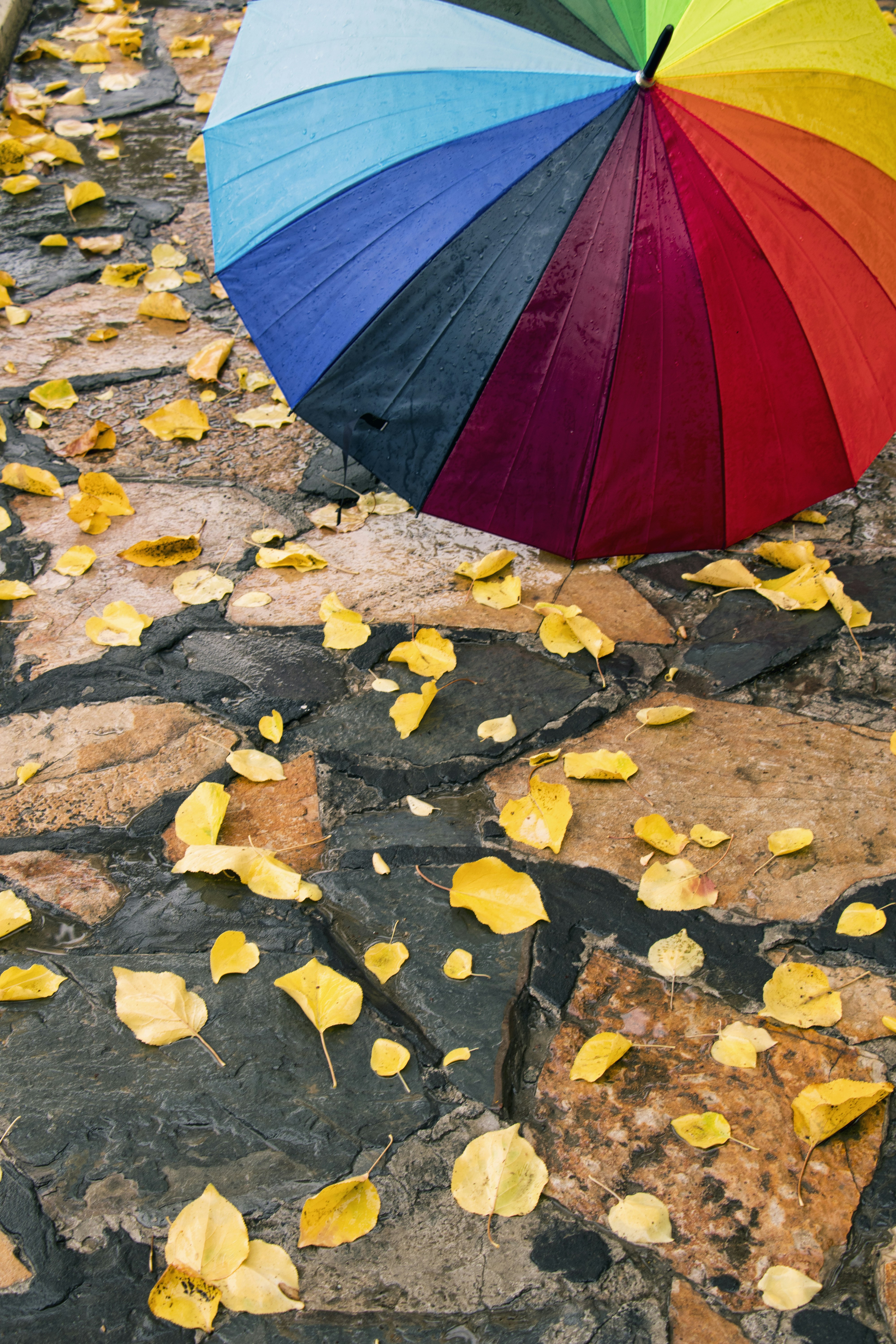 a colorful umbrella sitting on top of a cobblestone road