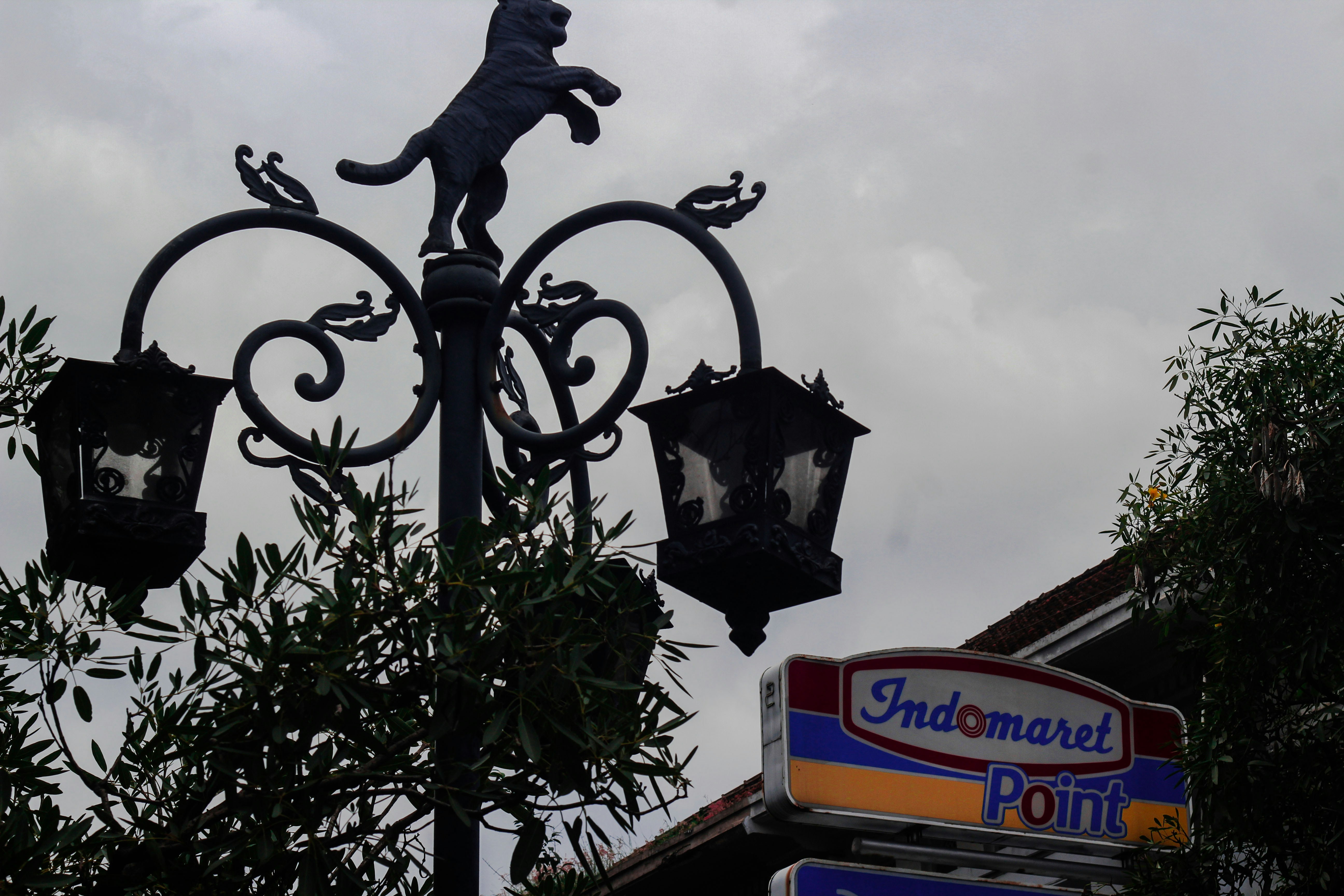Ornate Dragon-Lamp Post Framing Indomaret Point at Dusk