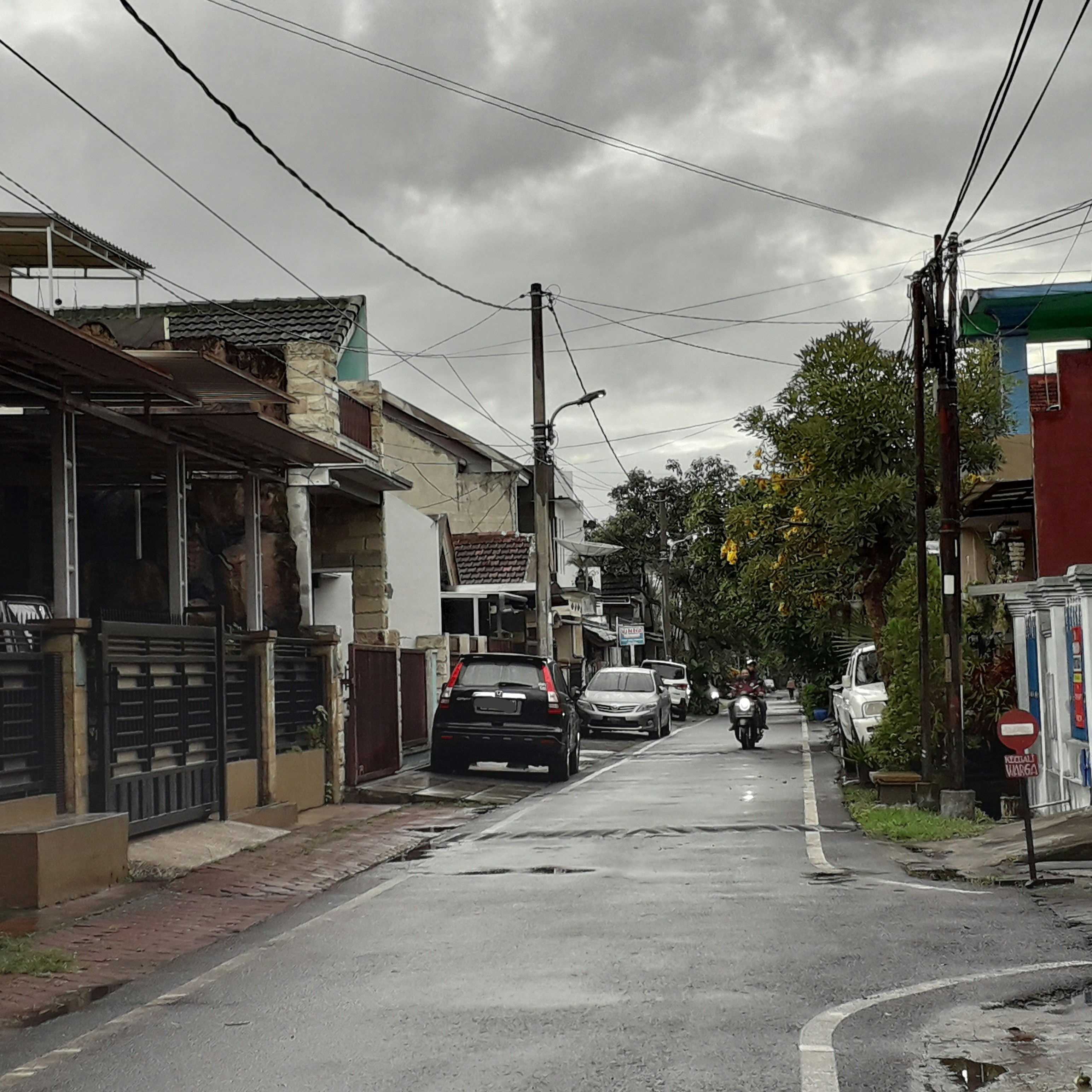 Overcast Avenue: A Narrow Neighborhood Street Tethered by Power Lines