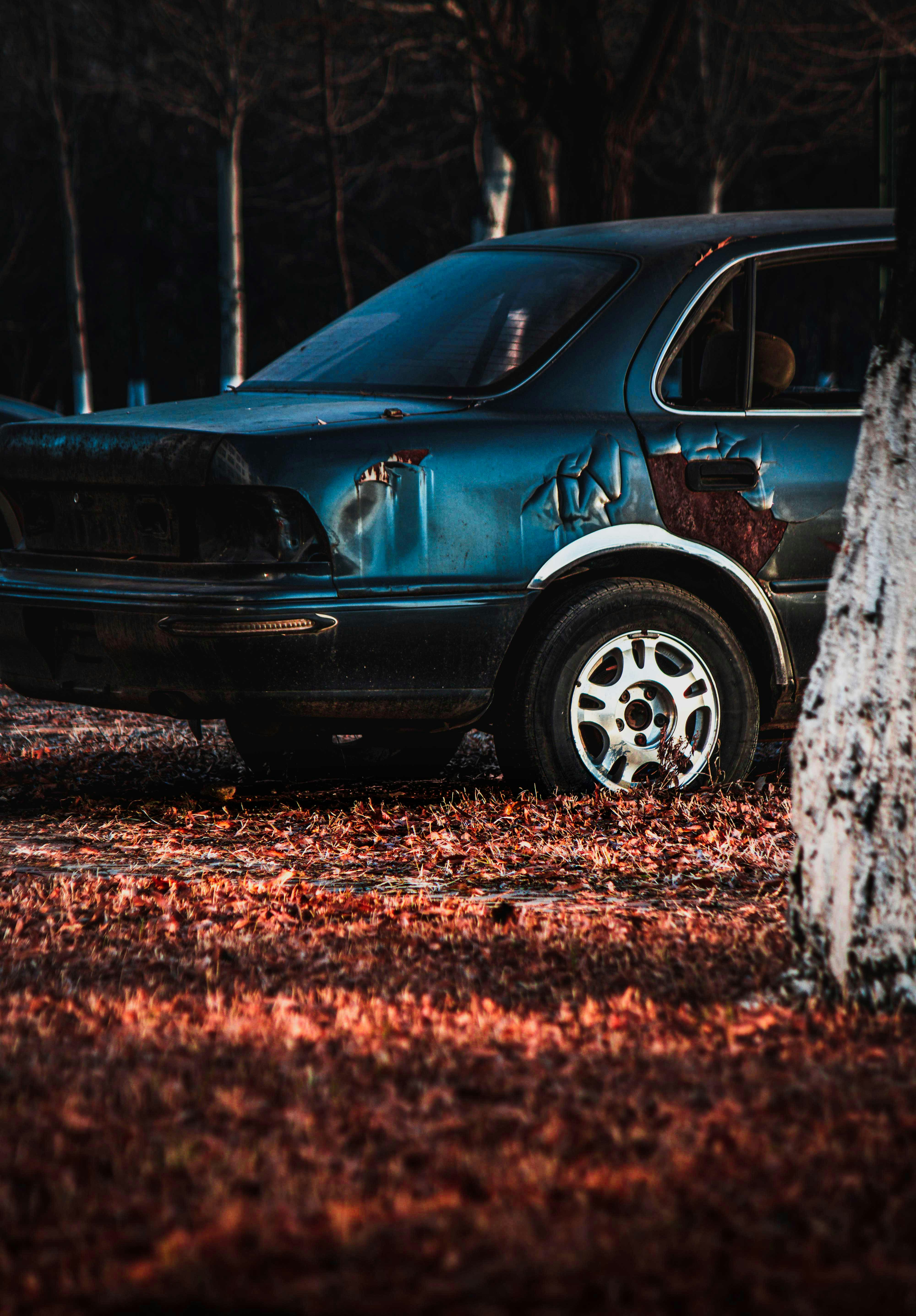 Weathered Blue Sedan Nestled in an Autumn Leaf Carpet