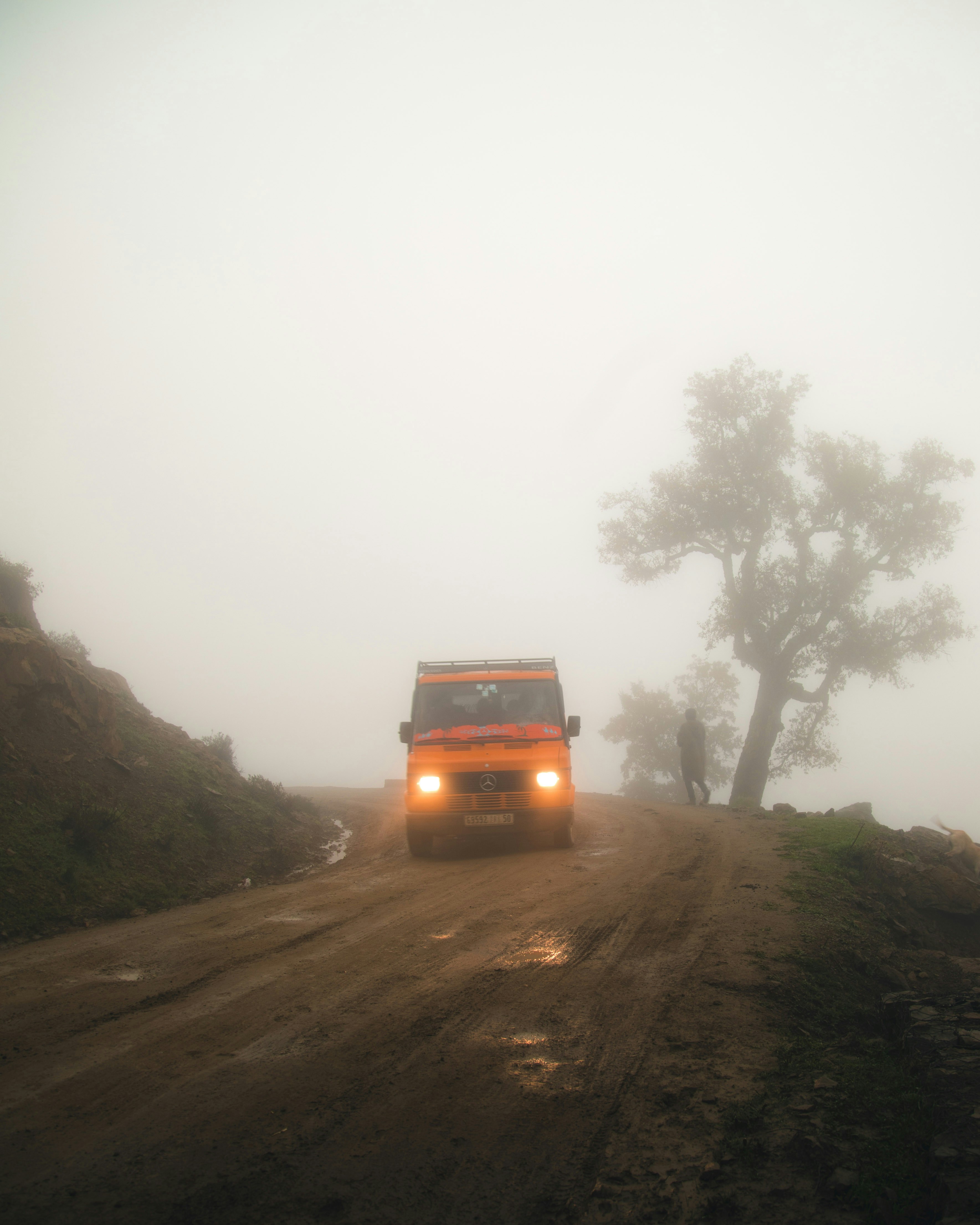 Fogbound Descent: A Red Truck Reclaims the Quiet Road