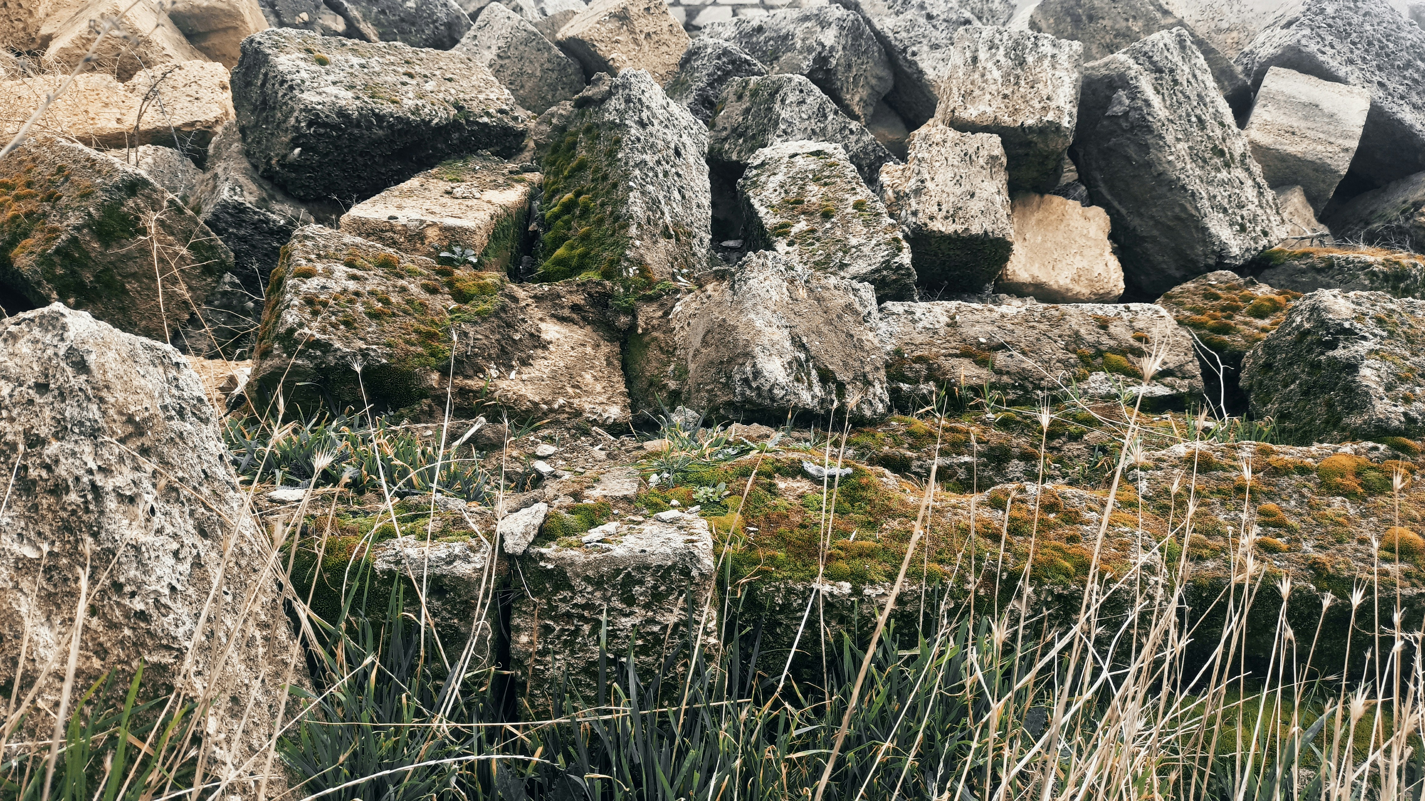 A close-up view of weathered stones covered in moss, intertwined with tall grass, showcasing nature's reclaiming power.