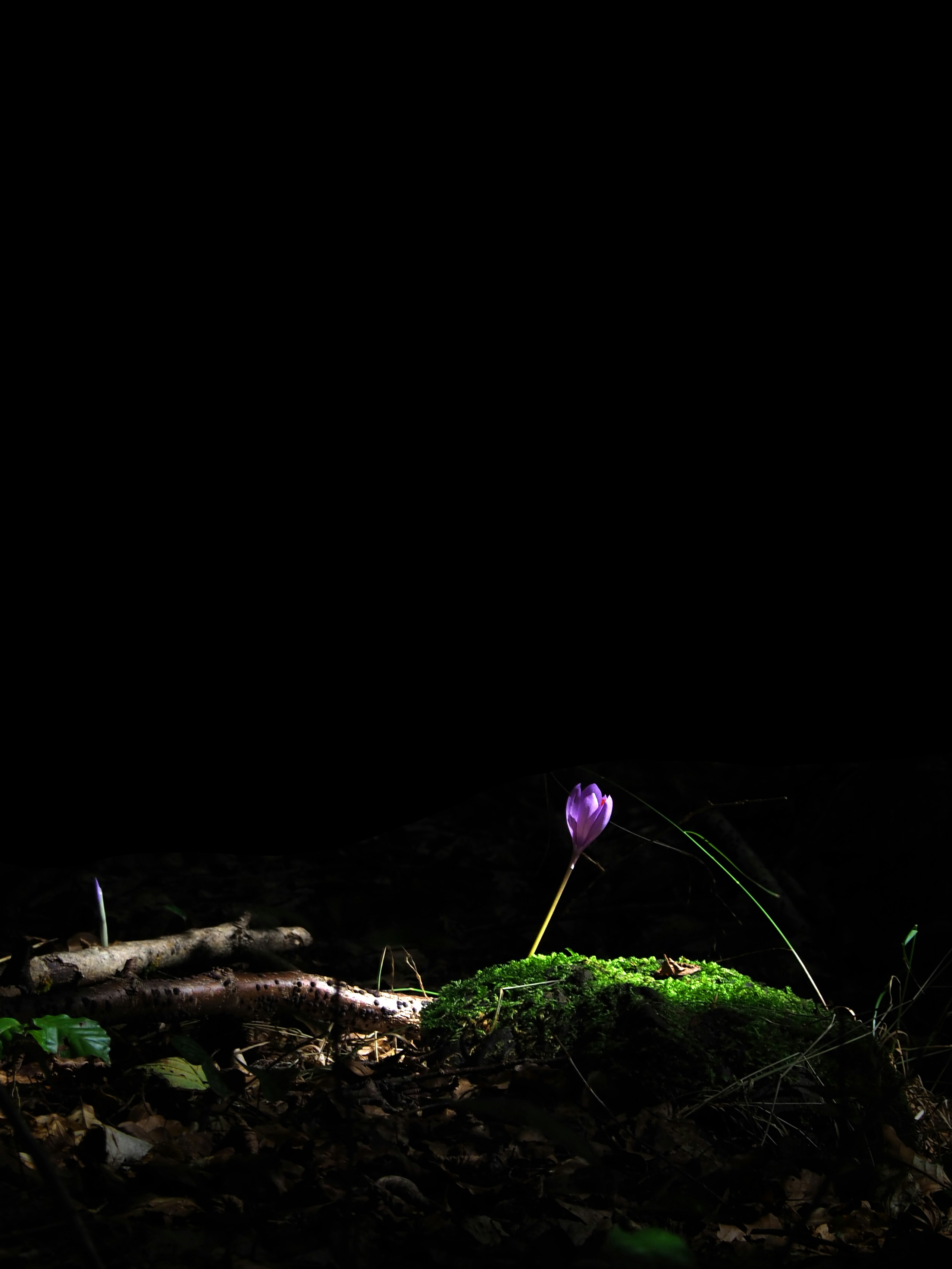 Ursula Pahl (@ursulapahl) | Unsplash Photo Community