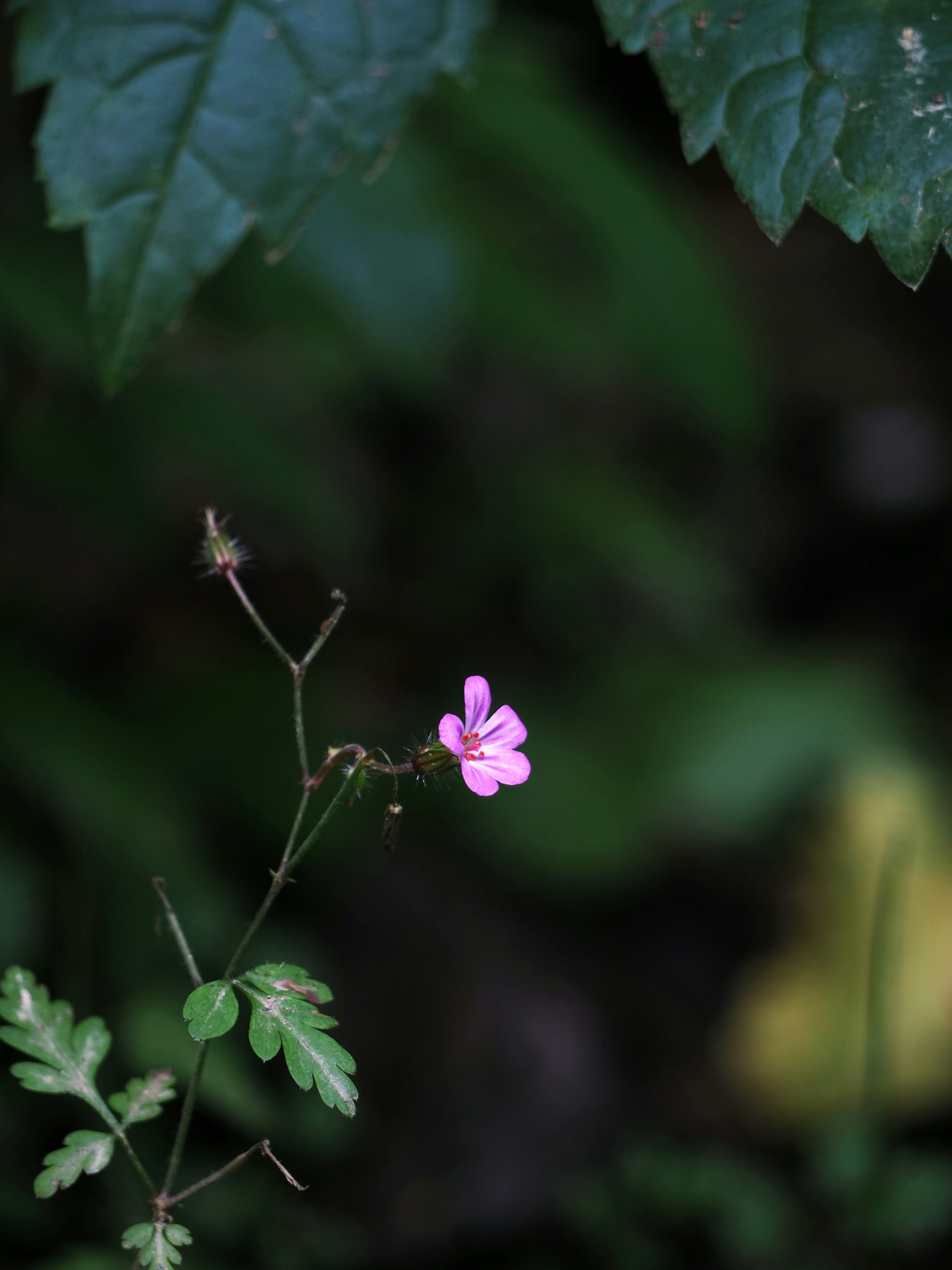 Ursula Pahl (@ursulapahl) | Unsplash Photo Community