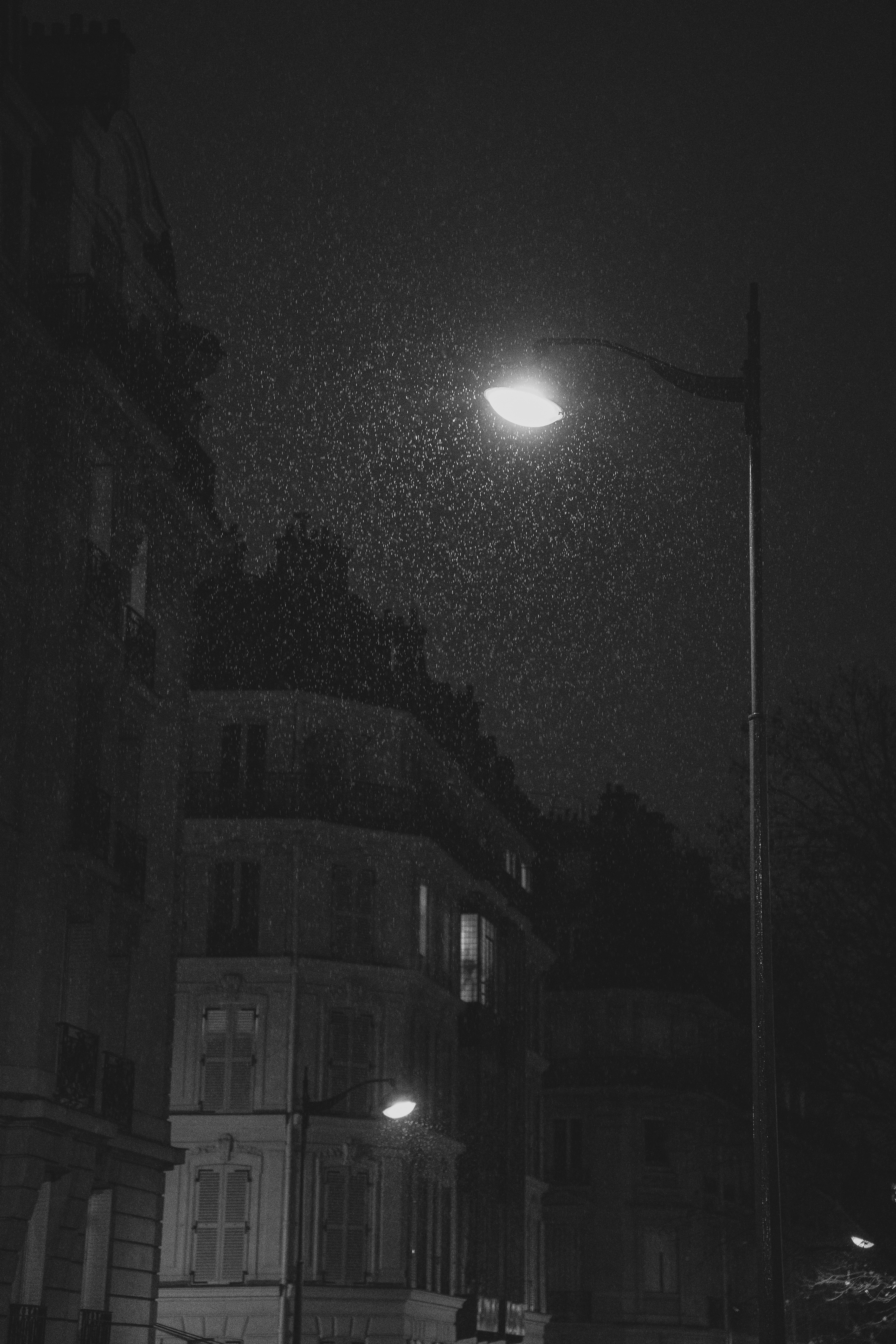Monochrome Snowfall Framed by a Quiet City StreetlightAnna Hunko