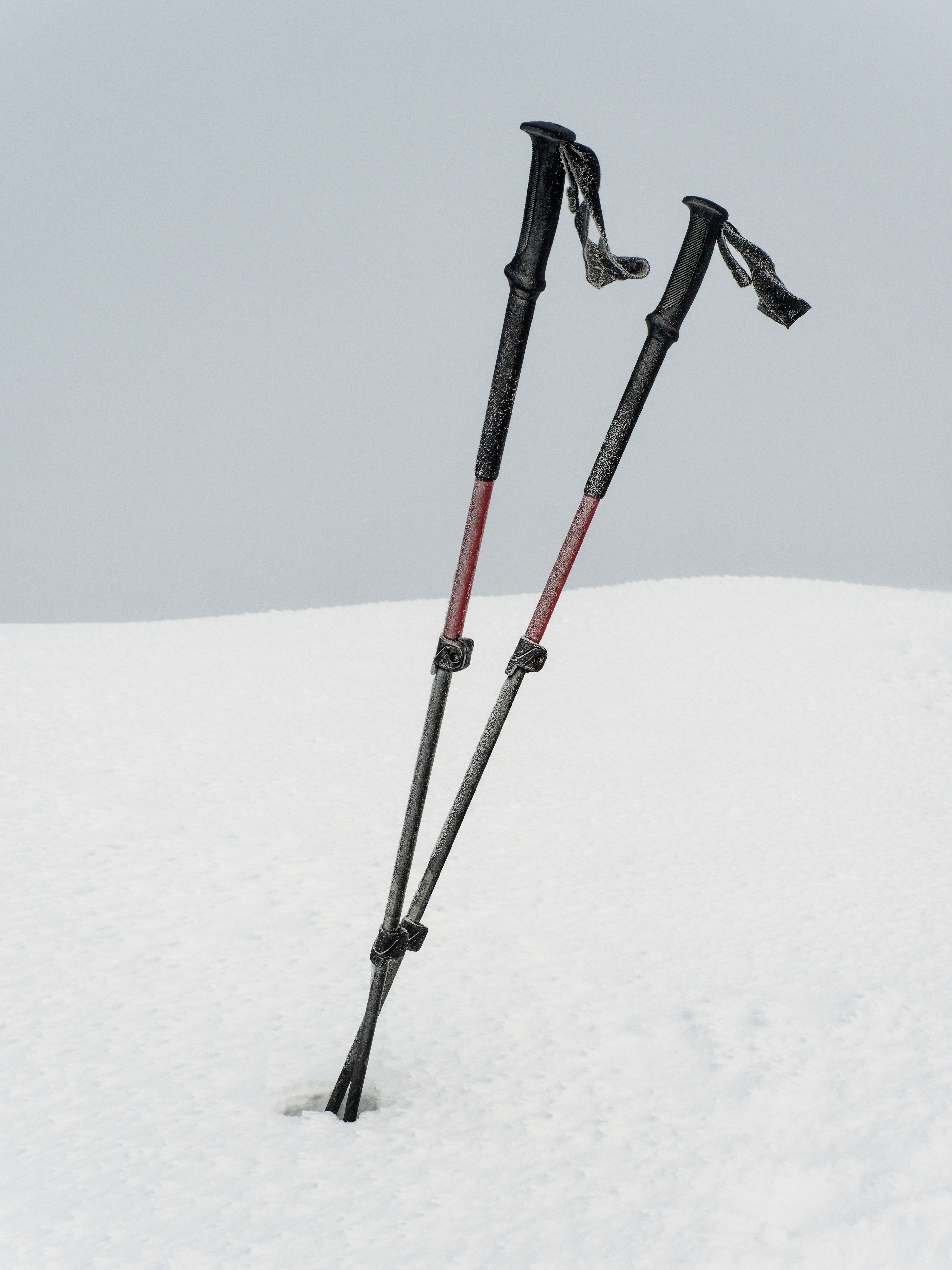 Snowbound Poles: A Quiet Stance in Winter Light