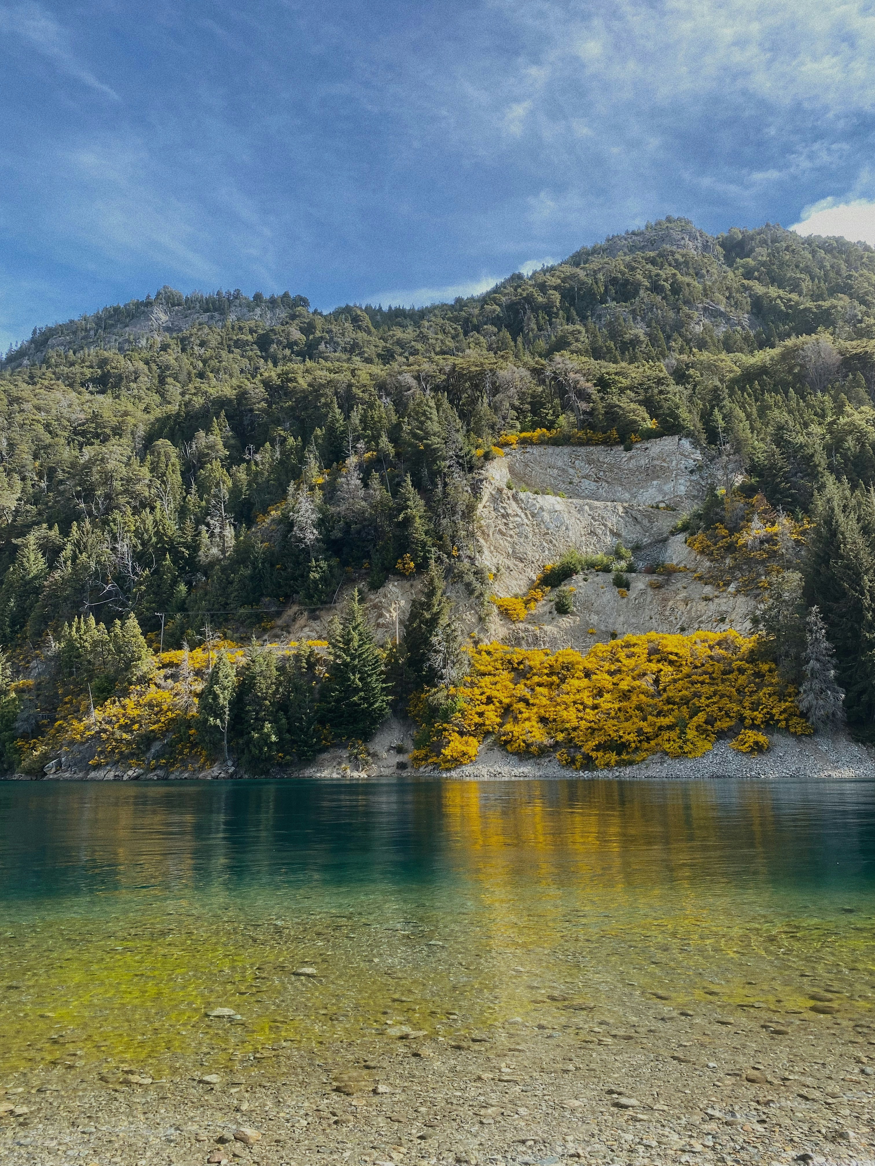 a body of water surrounded by a lush green hillside