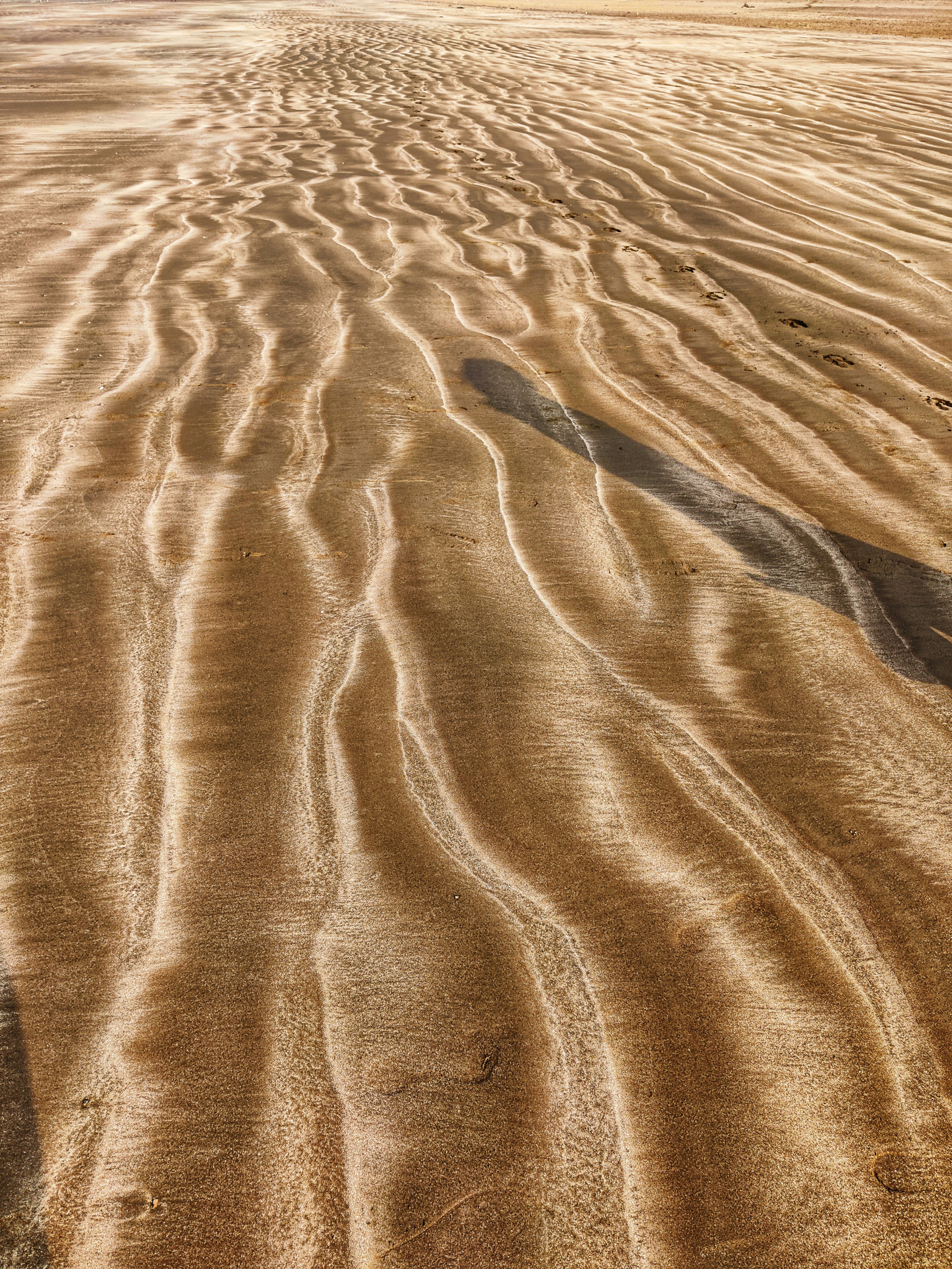 A sandy beach covered in lots of sand photo – Free Desert Image on Unsplash