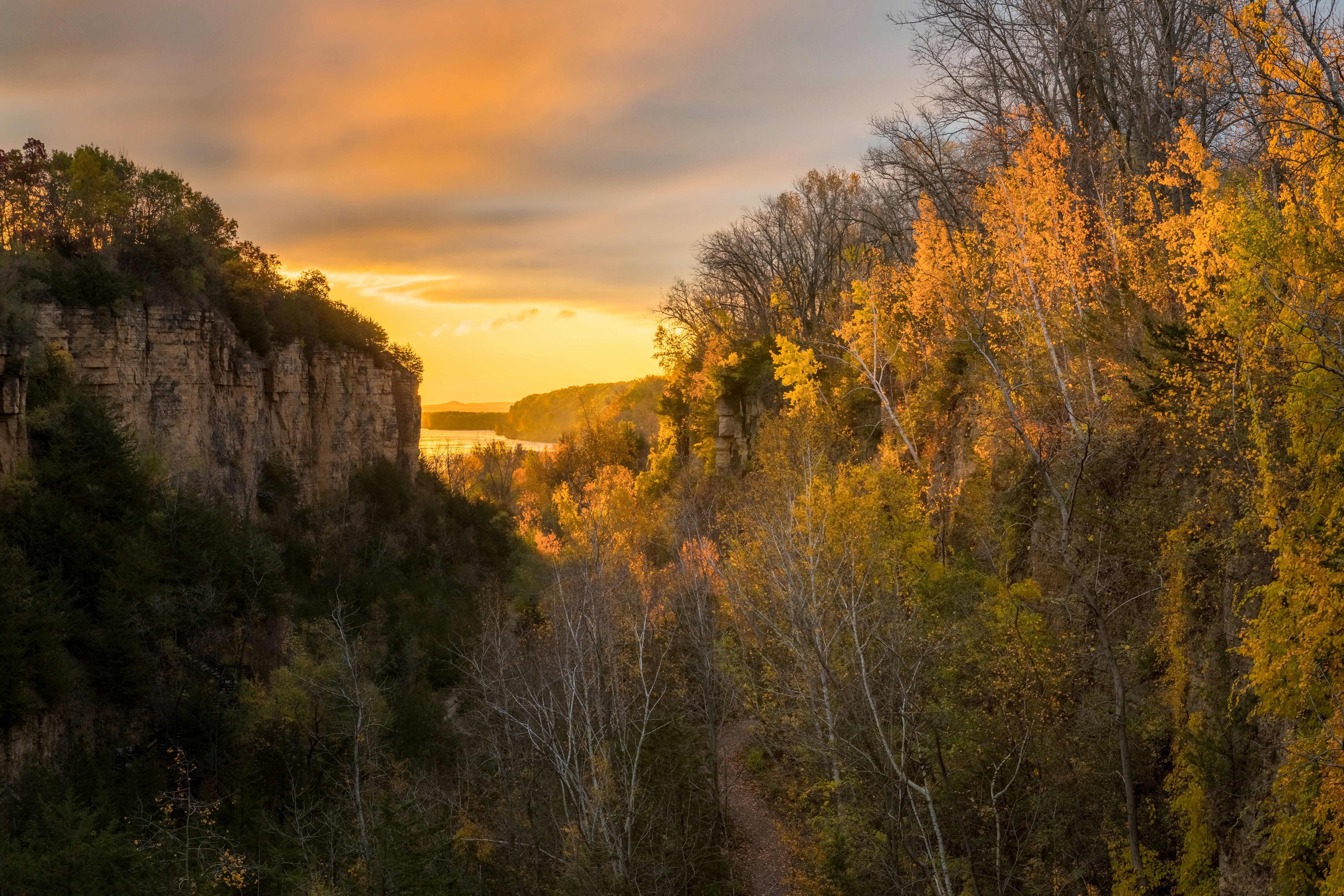 Sunset casting warm hues over a forested canyon with autumn foliage.