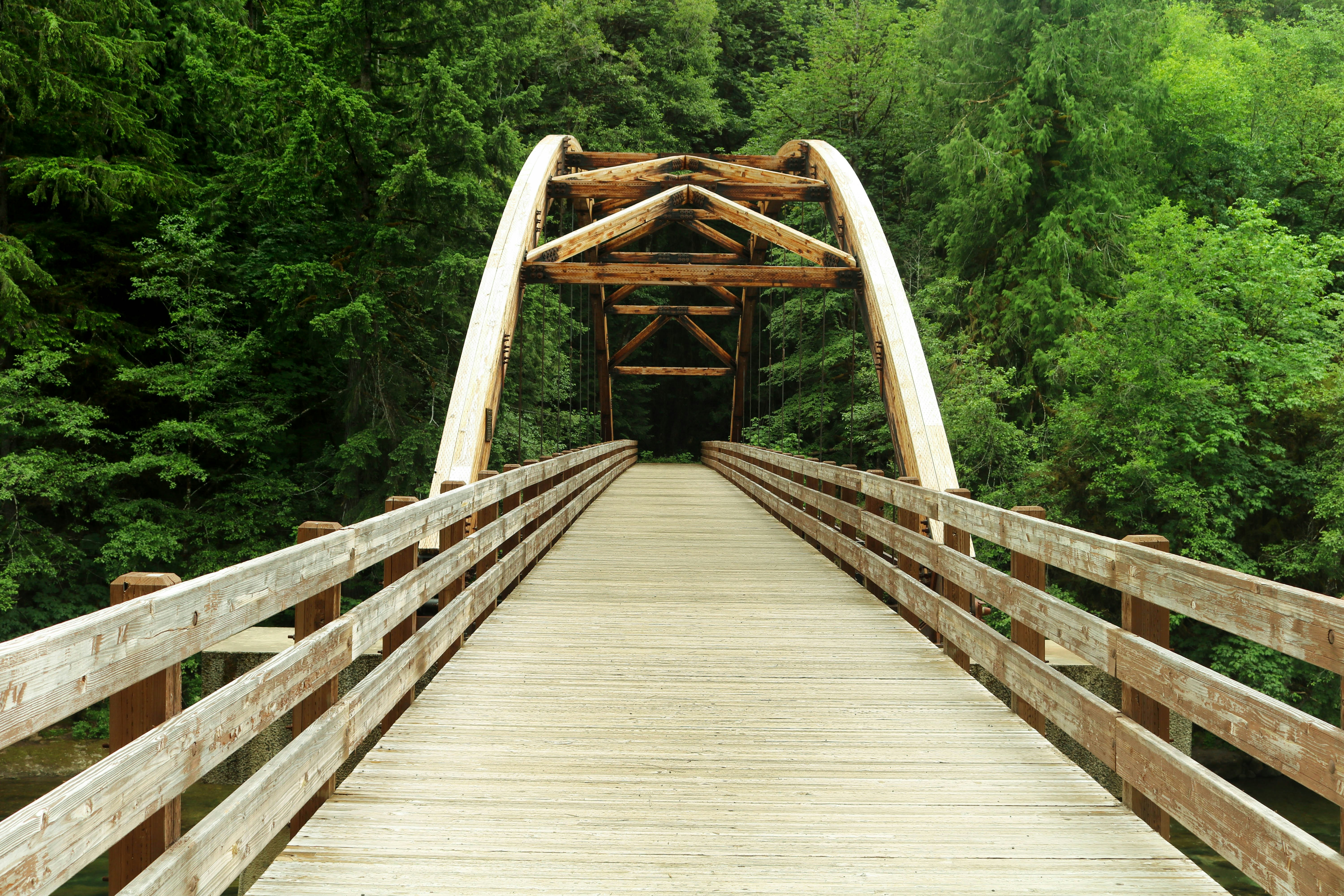 A wooden bridge over a river surrounded by trees photo – Free Pacific ...