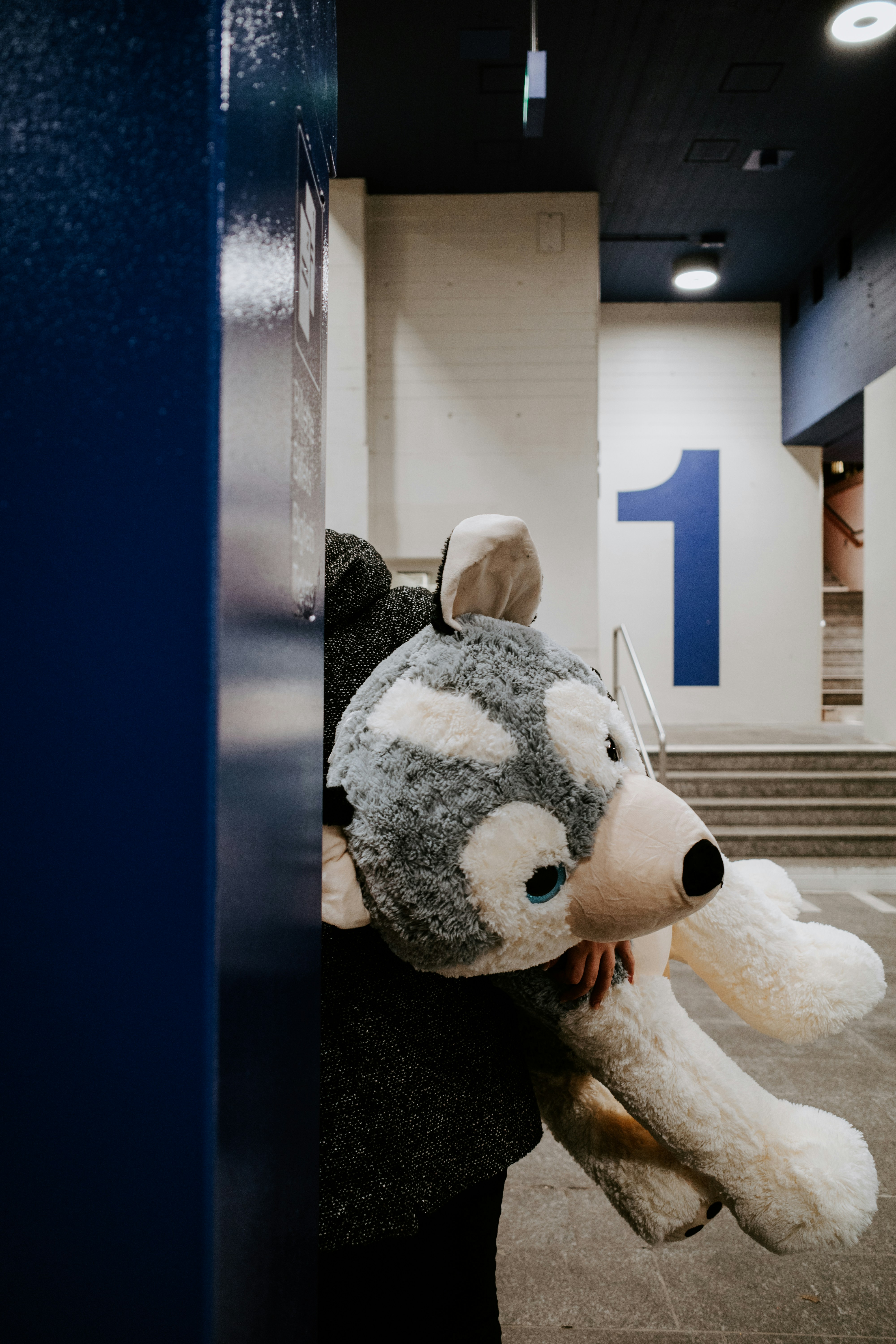 A person is holding a large stuffed animal photo – Free Zurich Image on ...