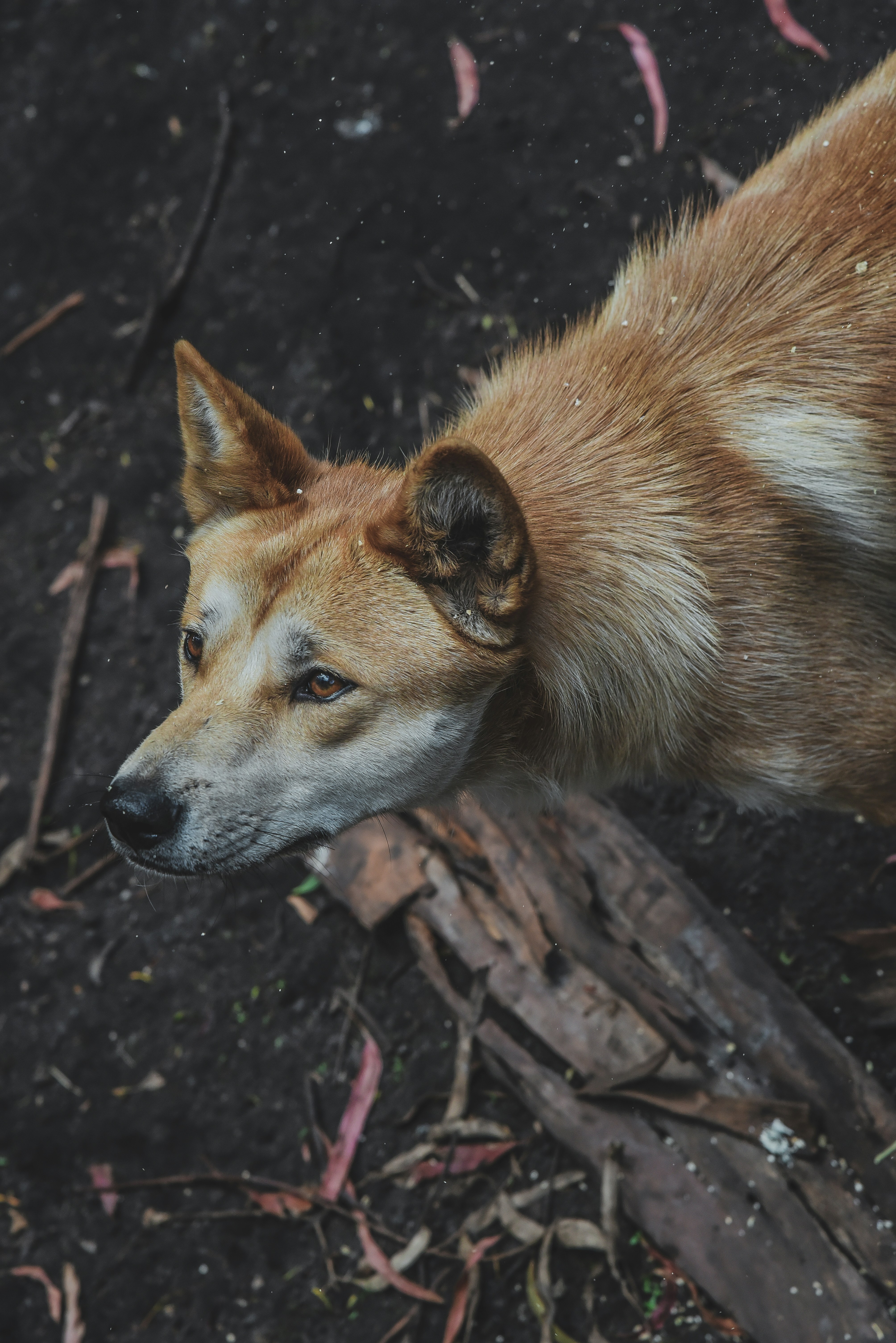 Zane Lee (@zane404) | Unsplash Photo Community