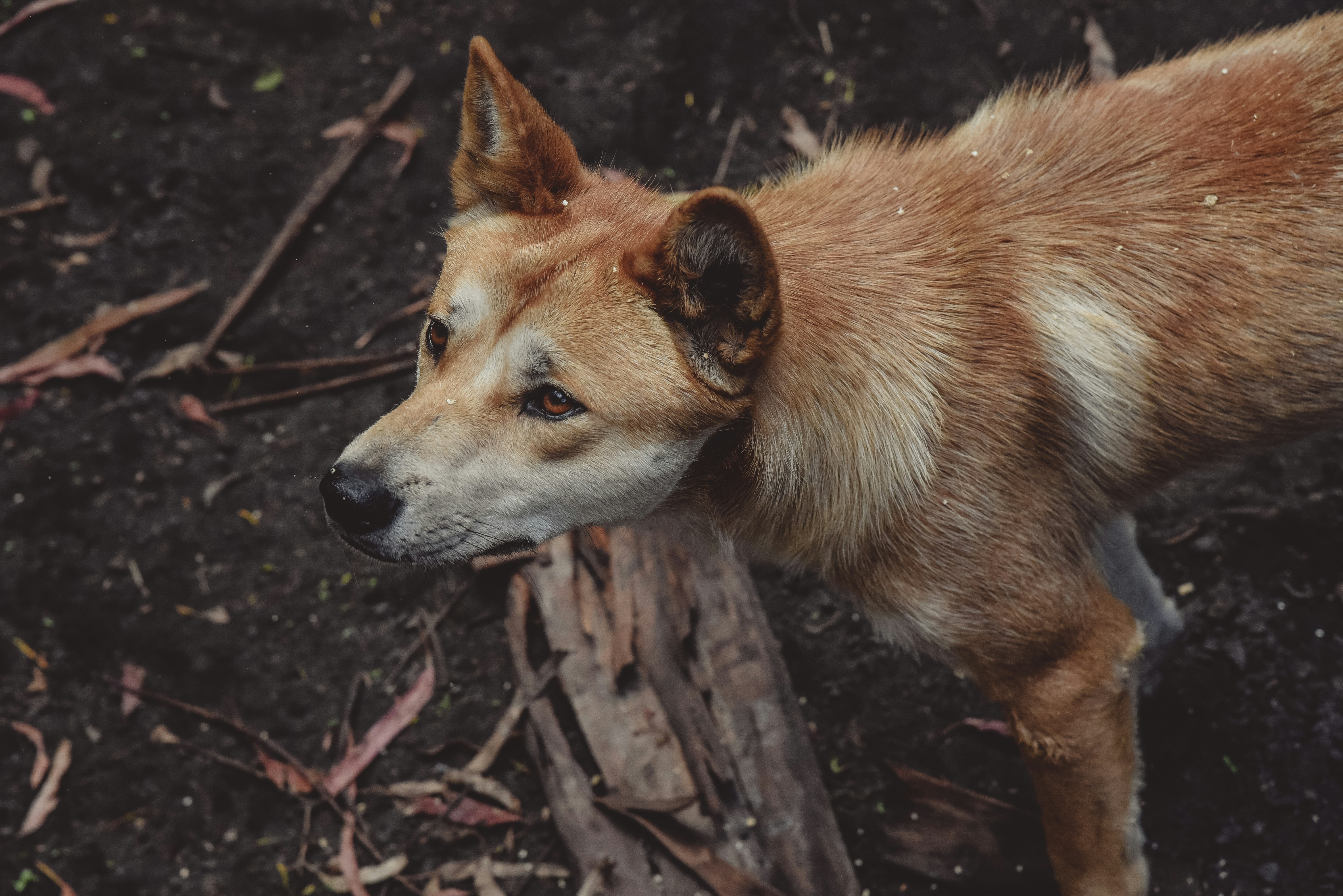Zane Lee (@zane404) | Unsplash Photo Community
